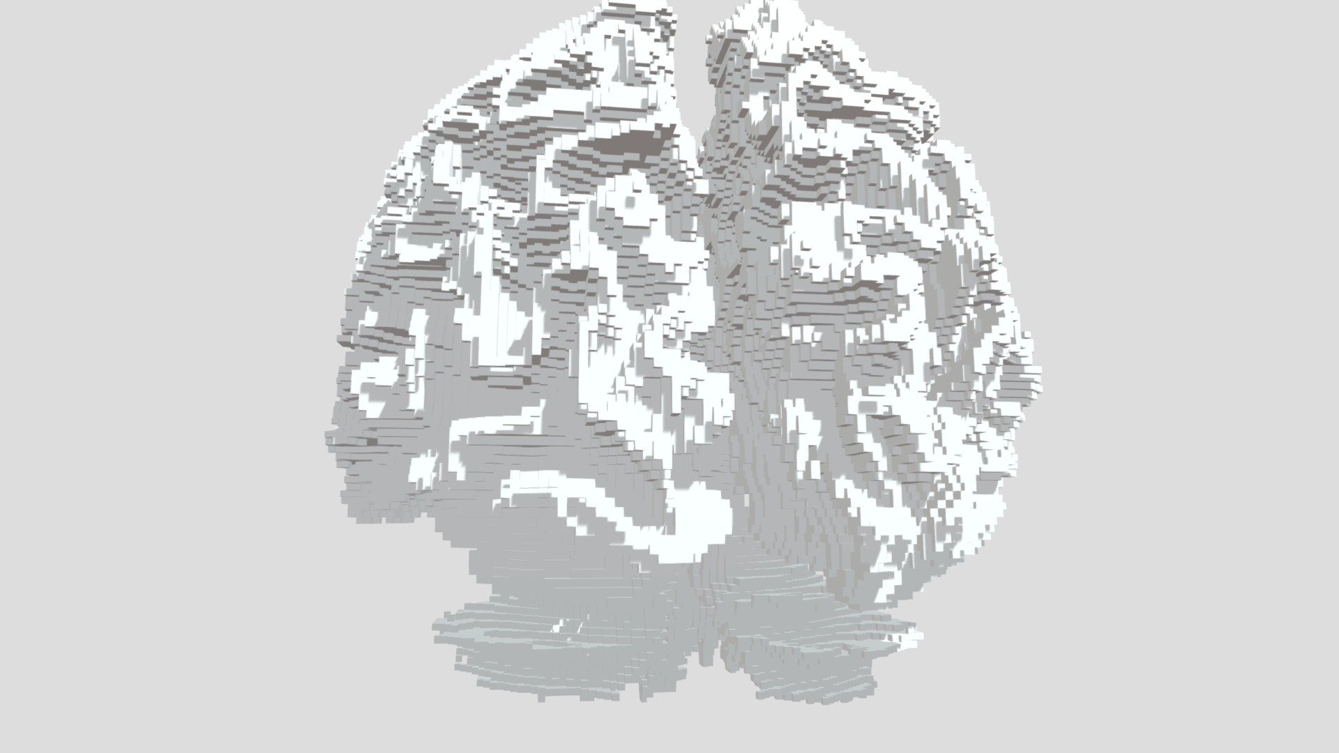 brain - 3D model by ido.imanuel [229ba9e] - Sketchfab