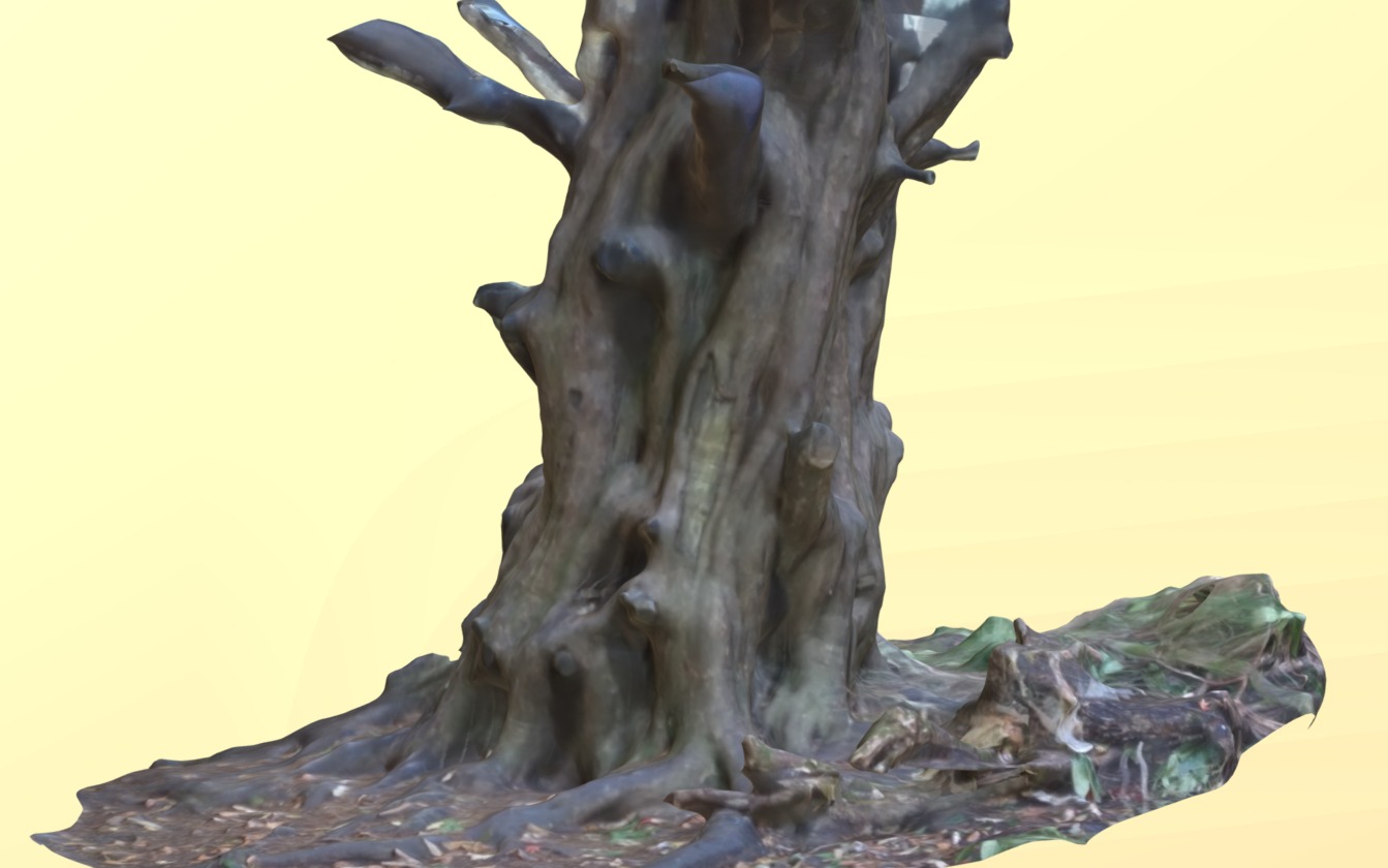 Yew Tree at Tehidy - 3D model by Pharic [229d3c1] - Sketchfab