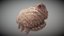 Slug low poly - Download Free 3D model by vicente betoret ferrero ...