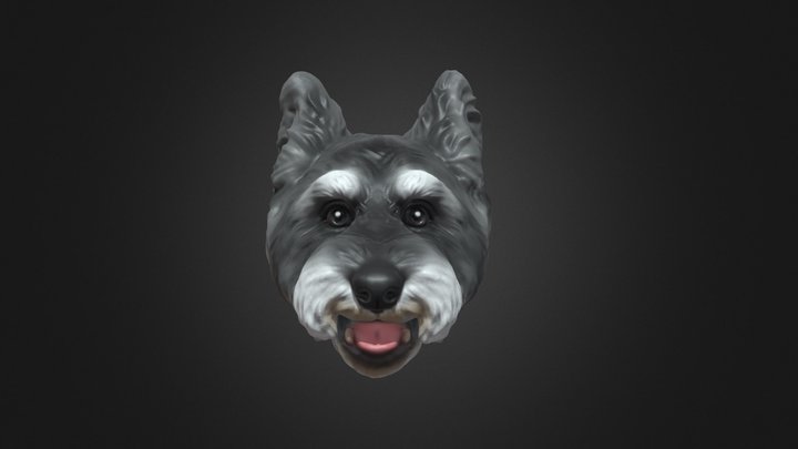 Schnauzer 3D models - Sketchfab
