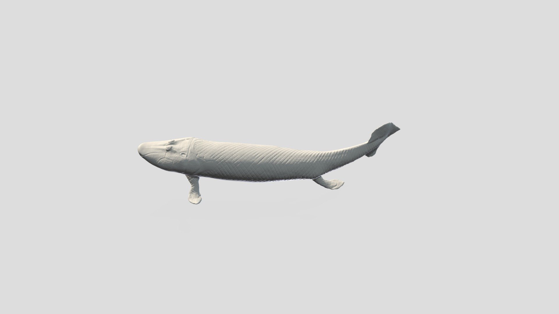 Tiktaalik roseae life reconstruction - 3D model by Paleontological ...