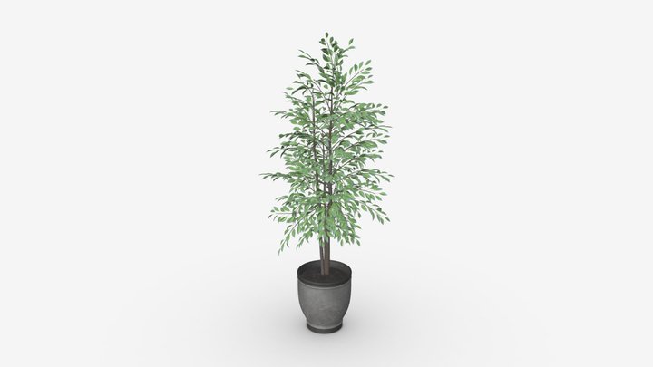 Growing 3D models - Sketchfab