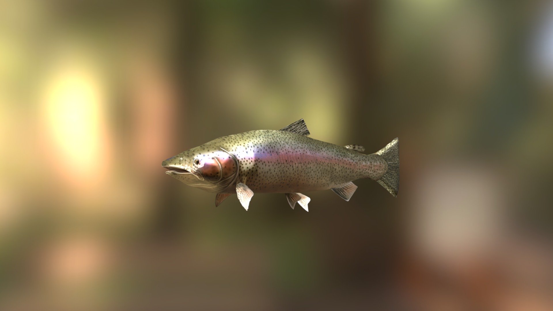 Rainbow Trout - Download Free 3D model by ucdavisterc [22a2304] - Sketchfab