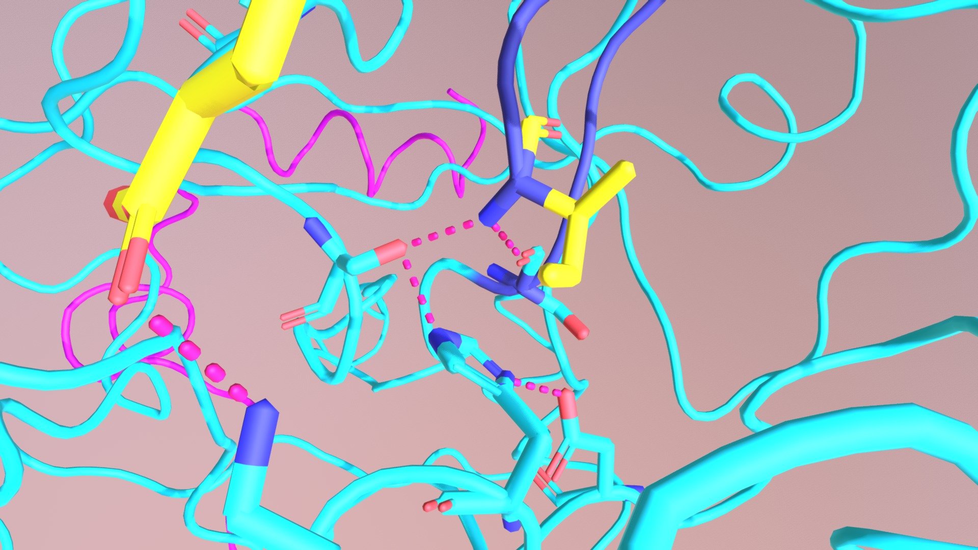 The Intricacies of the Hirudin-Thrombin Complex - 3D model by ...