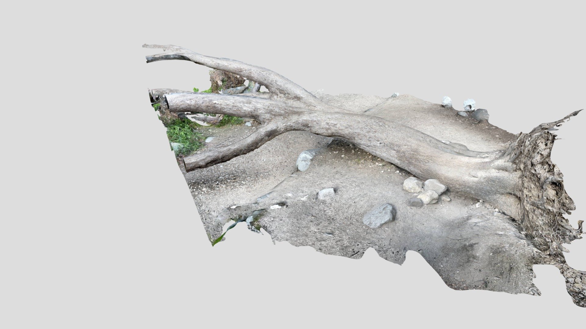 Fallen tree - Download Free 3D model by Chris Heinrich (@cpheinrich ...