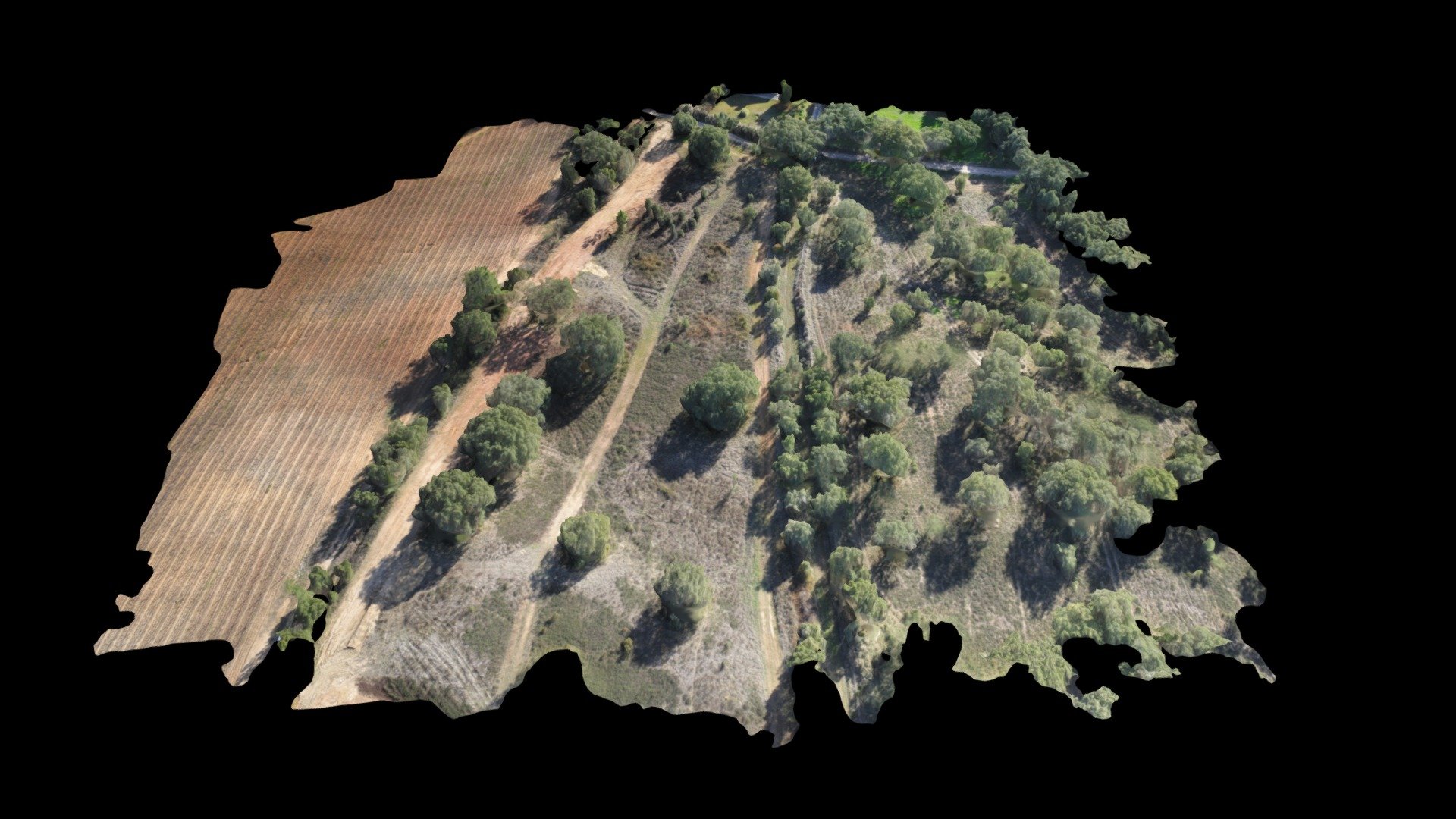 Arrábida (FCUL) - 3D model by terraDrone [22b4afe] - Sketchfab