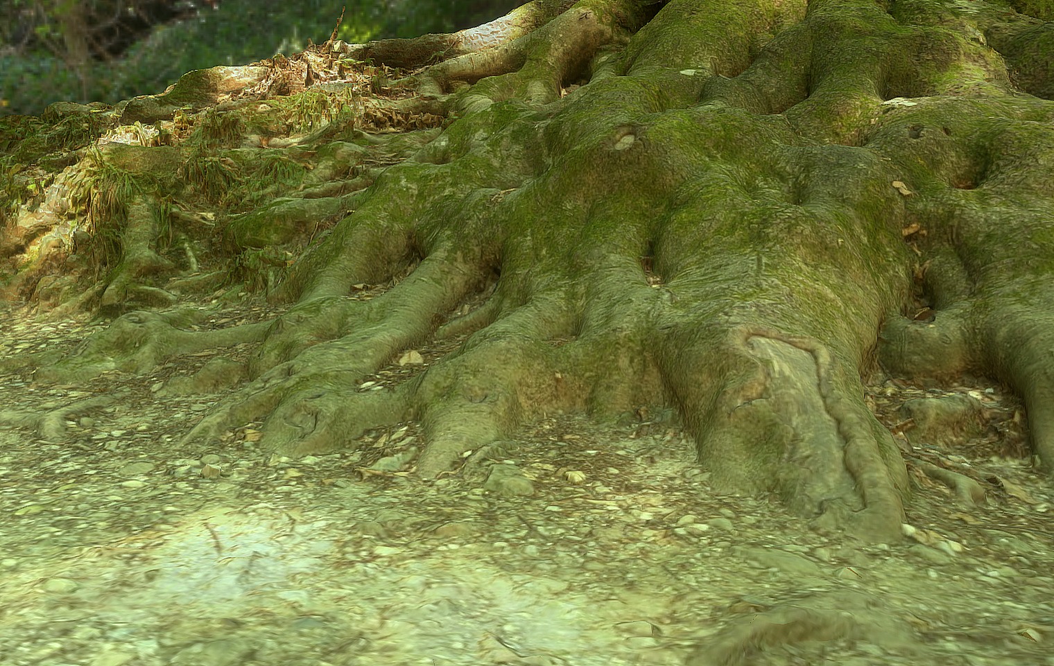 tree root - Download Free 3D model by Robob3ar (@robobear) [22b6826 ...