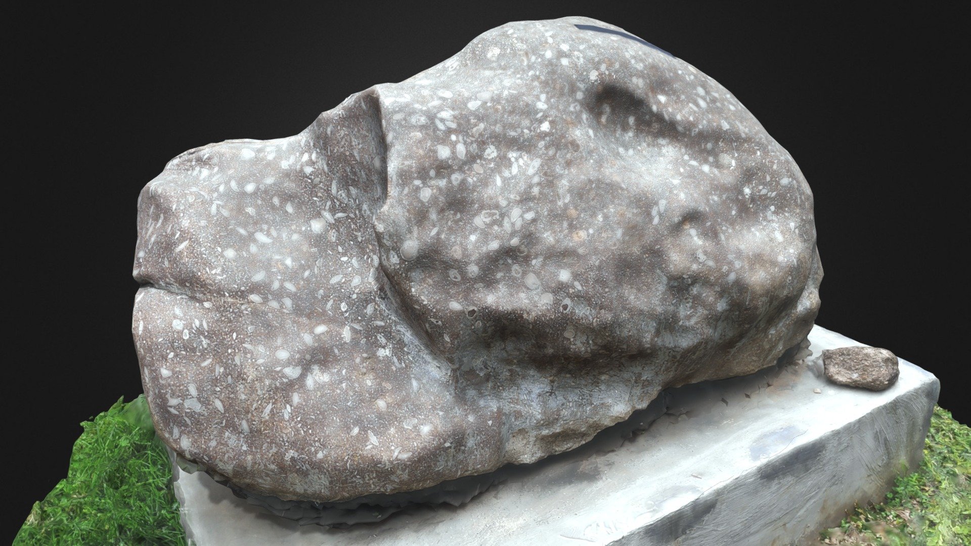 Nummulite Limestone - Download Free 3D model by gearid [22bbff0 ...