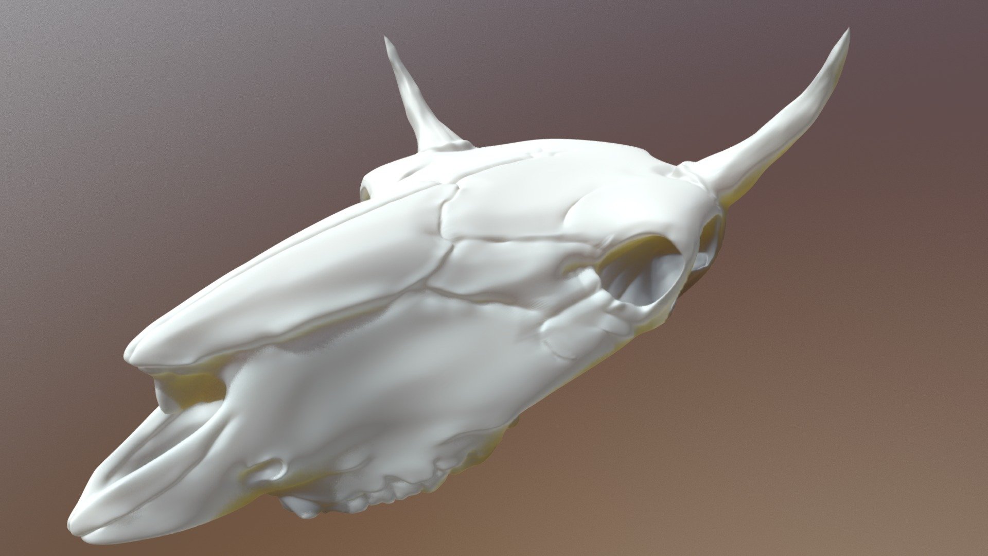 Cow Skull - Download Free 3D model by Lanz (@lanzwolf) [22c0877 ...