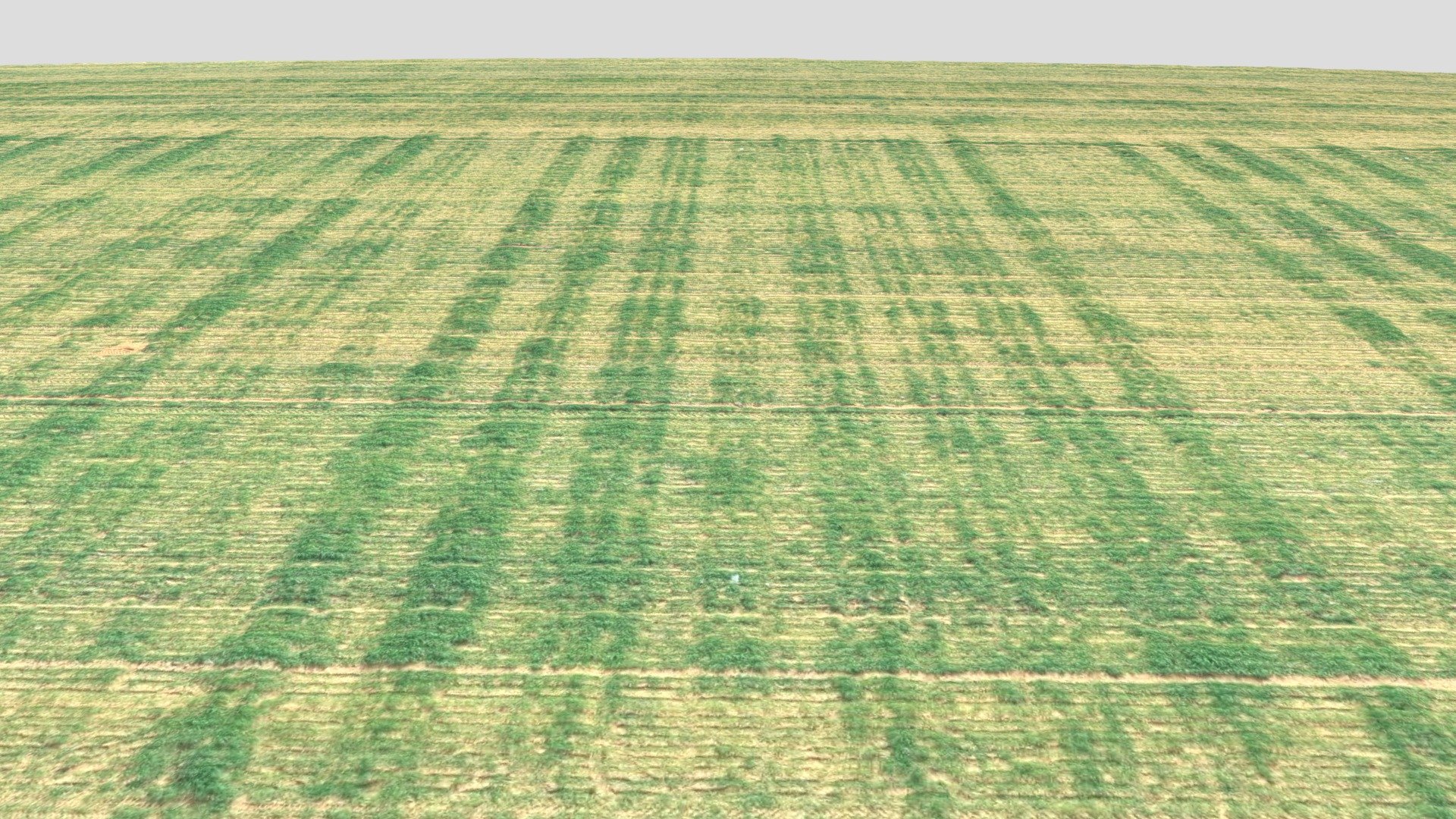 Deep Ripping Woodleigh, 2020 - 3D model by Agriknow (@Stusssolo ...
