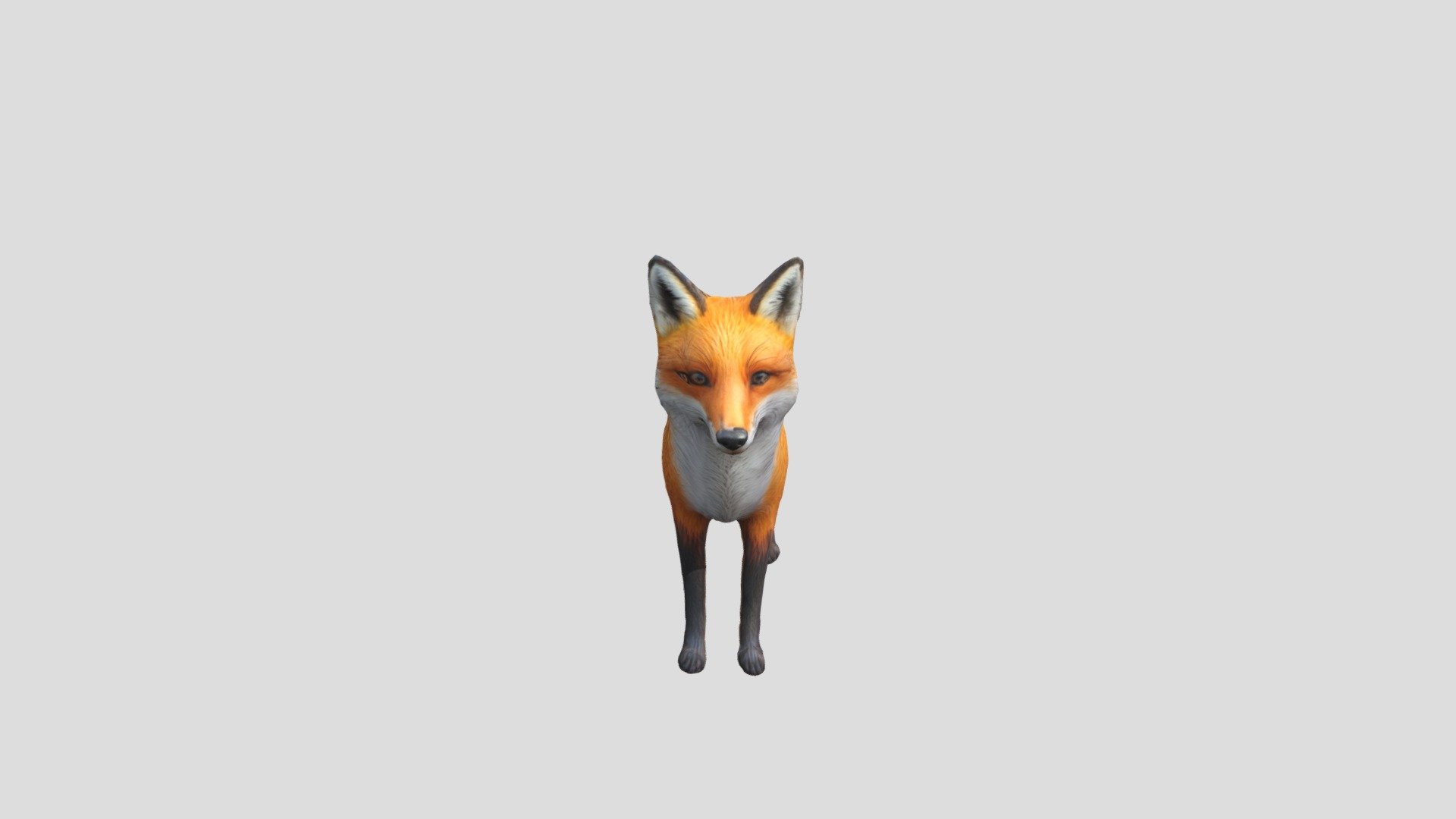 Fox - Realistic Wild Animal - Buy Royalty Free 3D model by ...