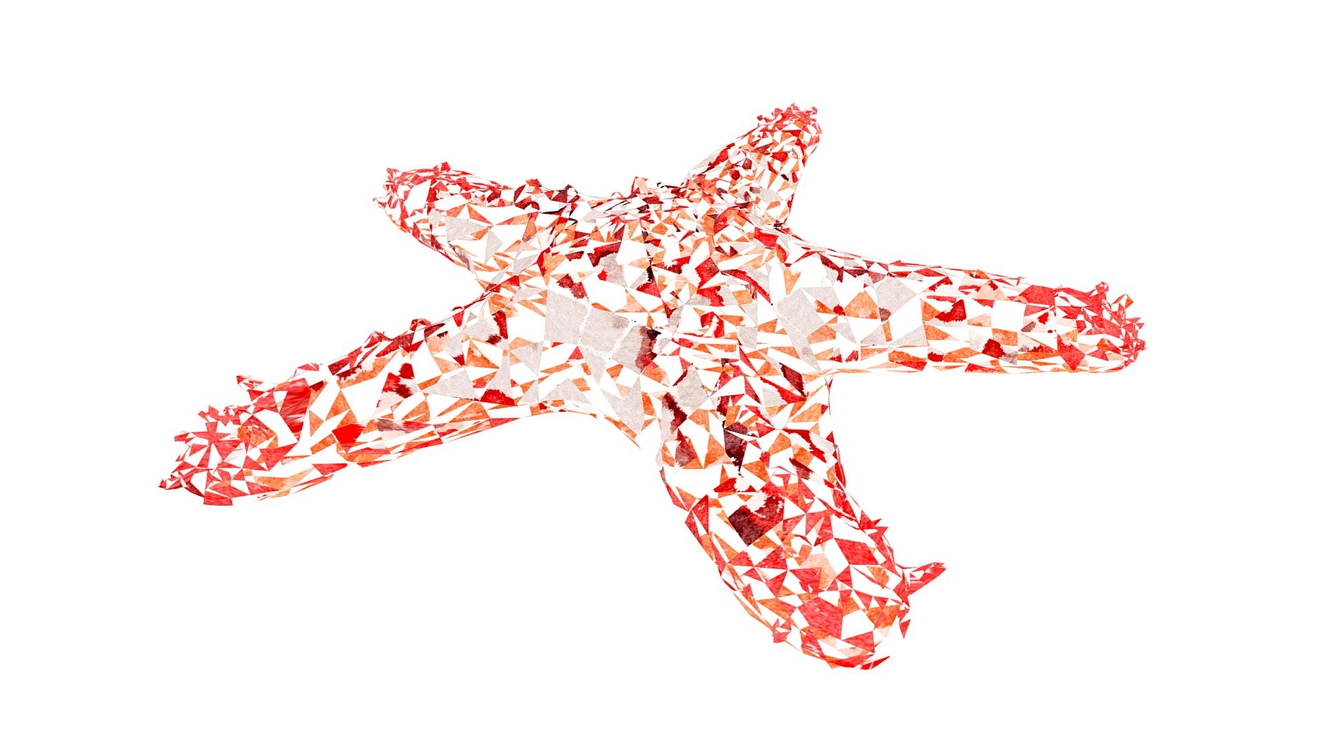 Starfish Illustration - 3D model by josluat91 [22c7dad] - Sketchfab