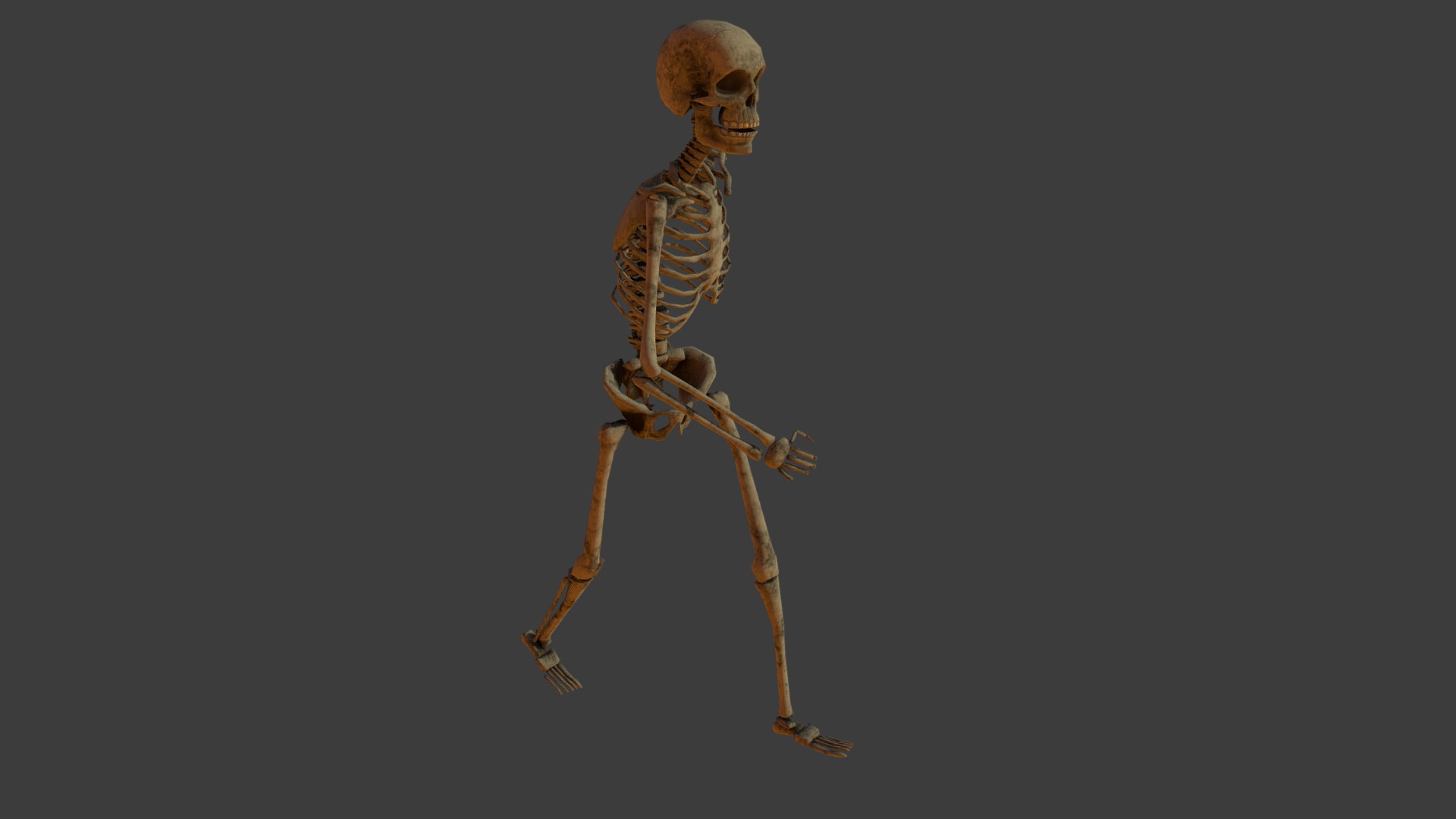 Skeleton Walking - 3D model by Soraya (@soso-tje) [22cb329] - Sketchfab