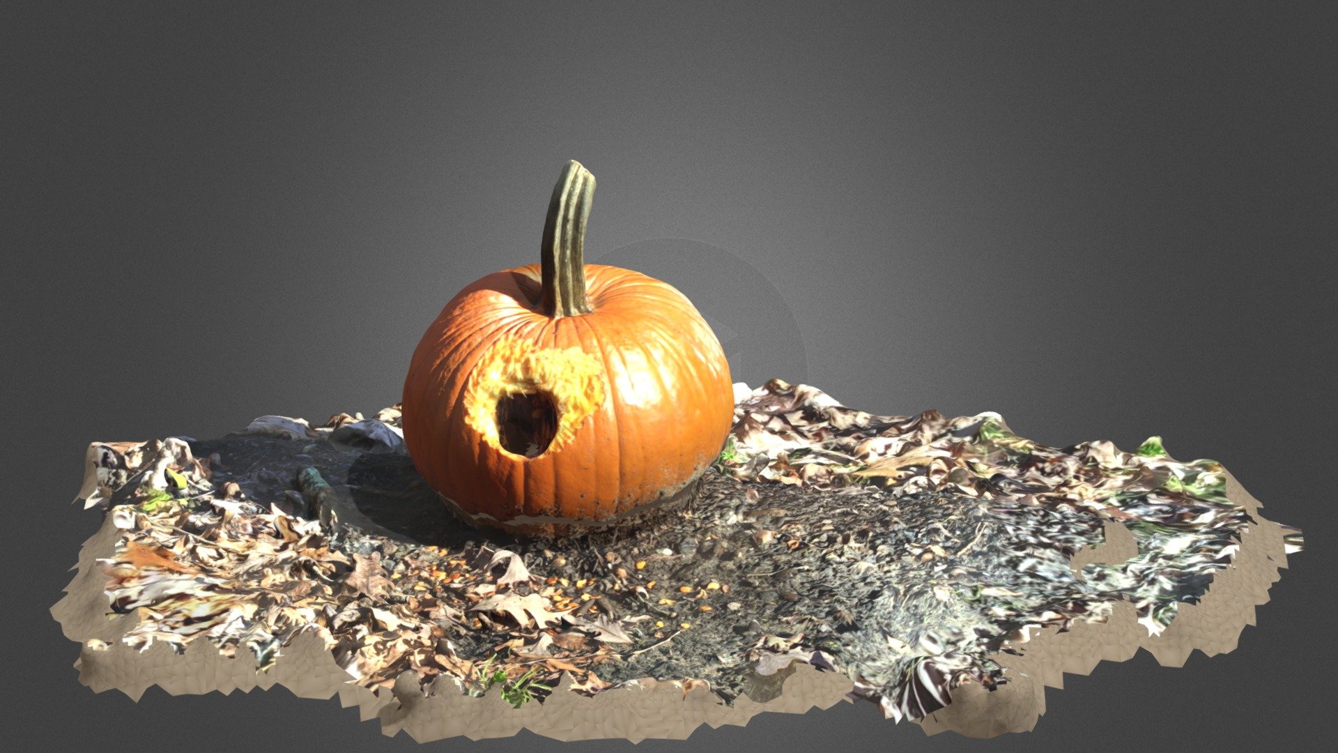 Chewed Pumpkin - Download Free 3D model by Terrie (@terrielsimmons ...