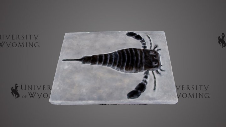 Eurypterid 3D models - Sketchfab