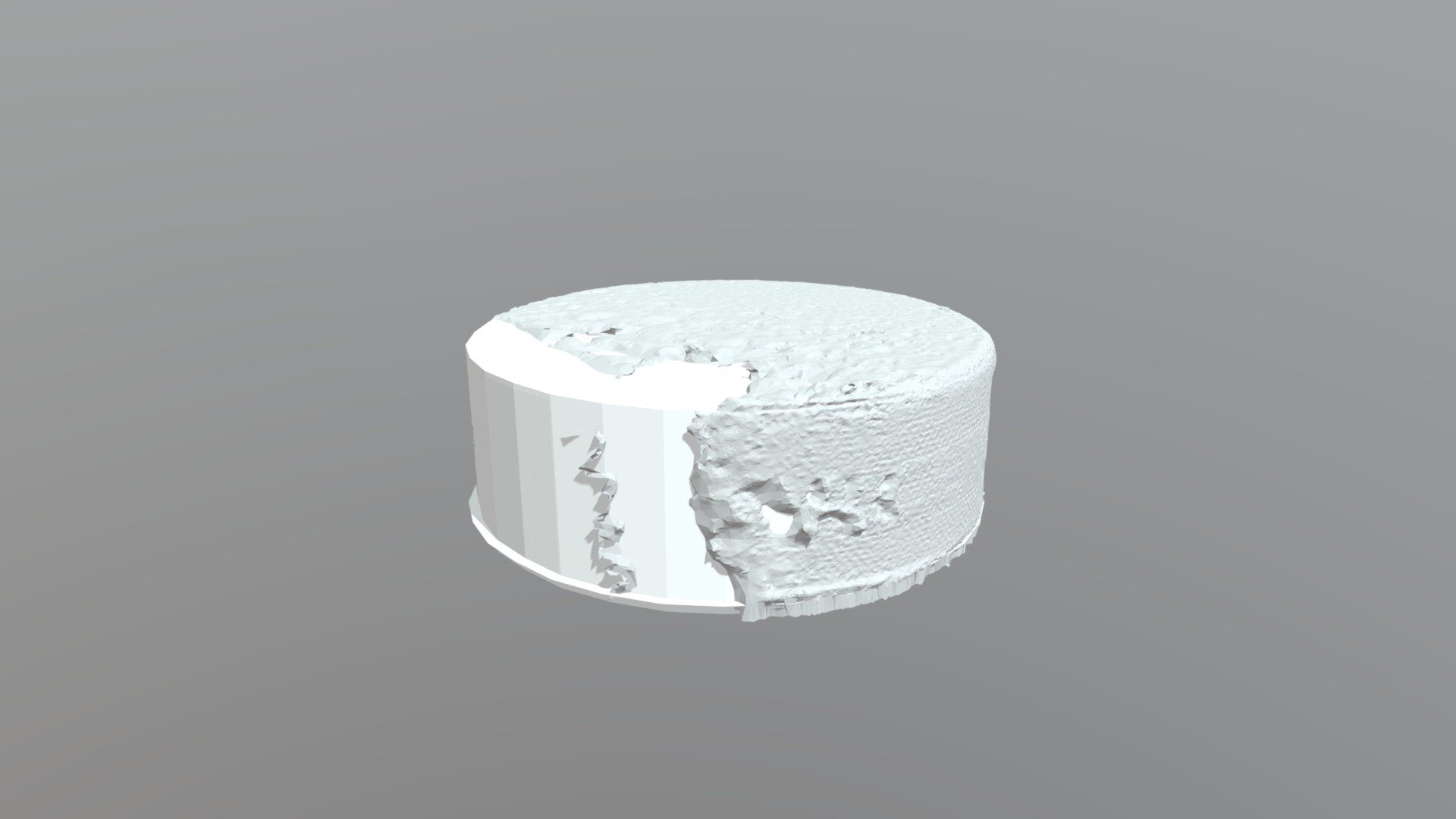Puck - 3D model by nicoisengineer [22d5364] - Sketchfab