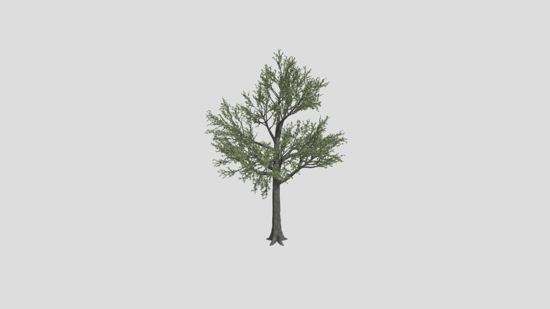 Tree Pack 01 - 3D model by mariay (@seventiny888) [22e04c8] - Sketchfab