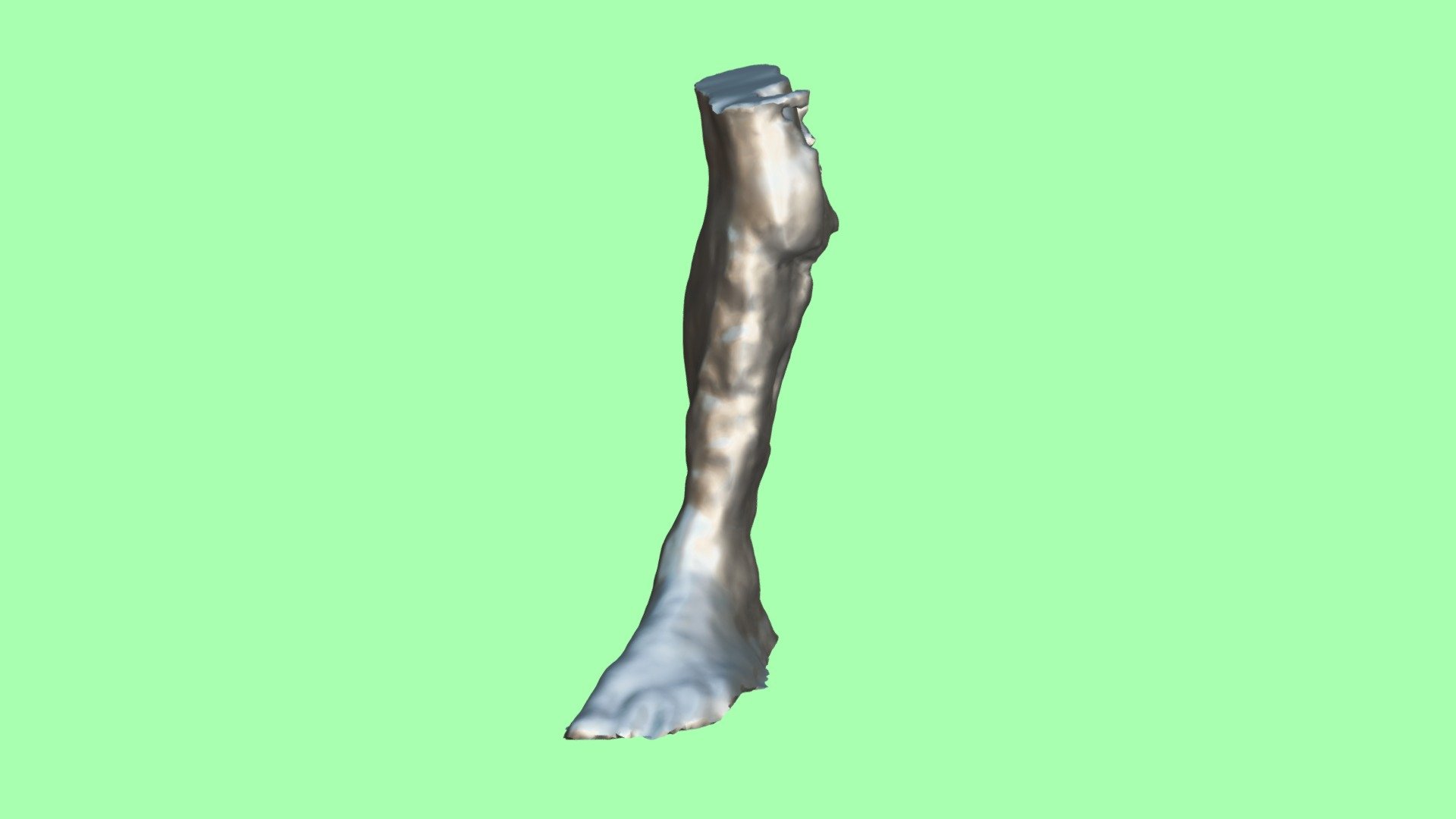 Leg 1 (all Pics)B - Download Free 3D model by STerr [22e23d9] - Sketchfab