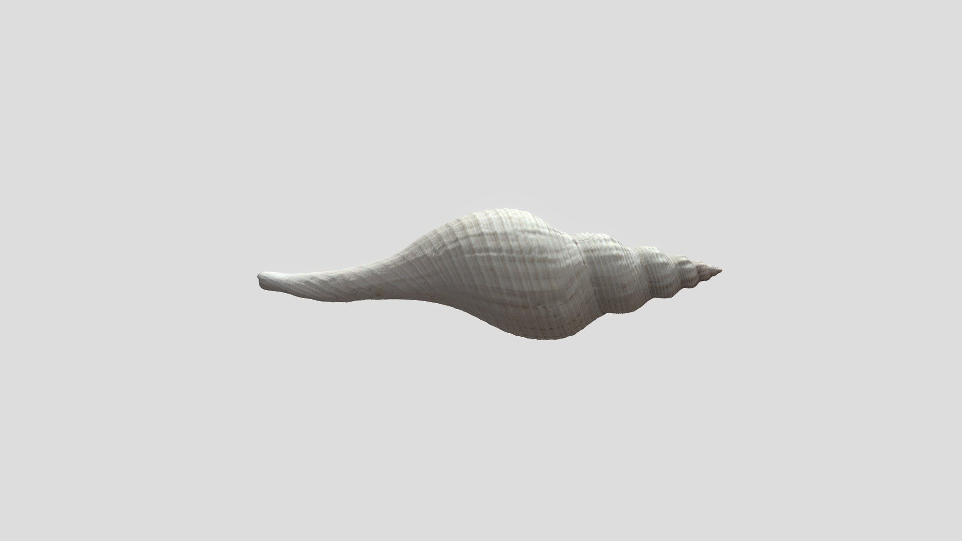 Shell-Good-123-Low-03 - 3D model by 方舟智慧 ARK Group (@ark720.art ...