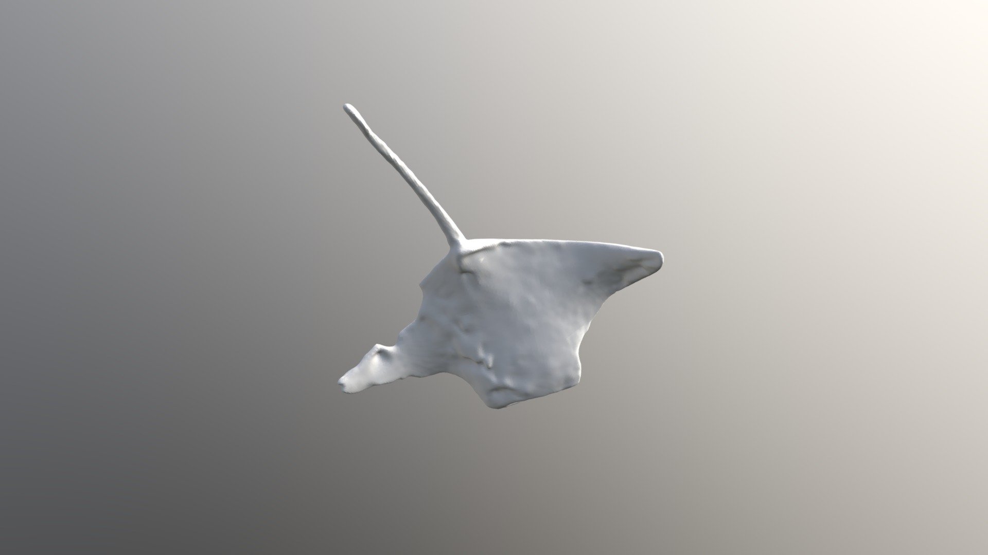 Manta Ray FIN - Download Free 3D model by maragkoudaki [22e42f6 ...