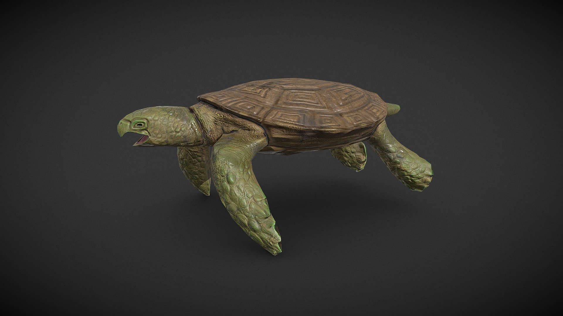 Turtle (Realistic) - 3D model by Tonkla_662110132 (@tonkla888) [22e7264 ...