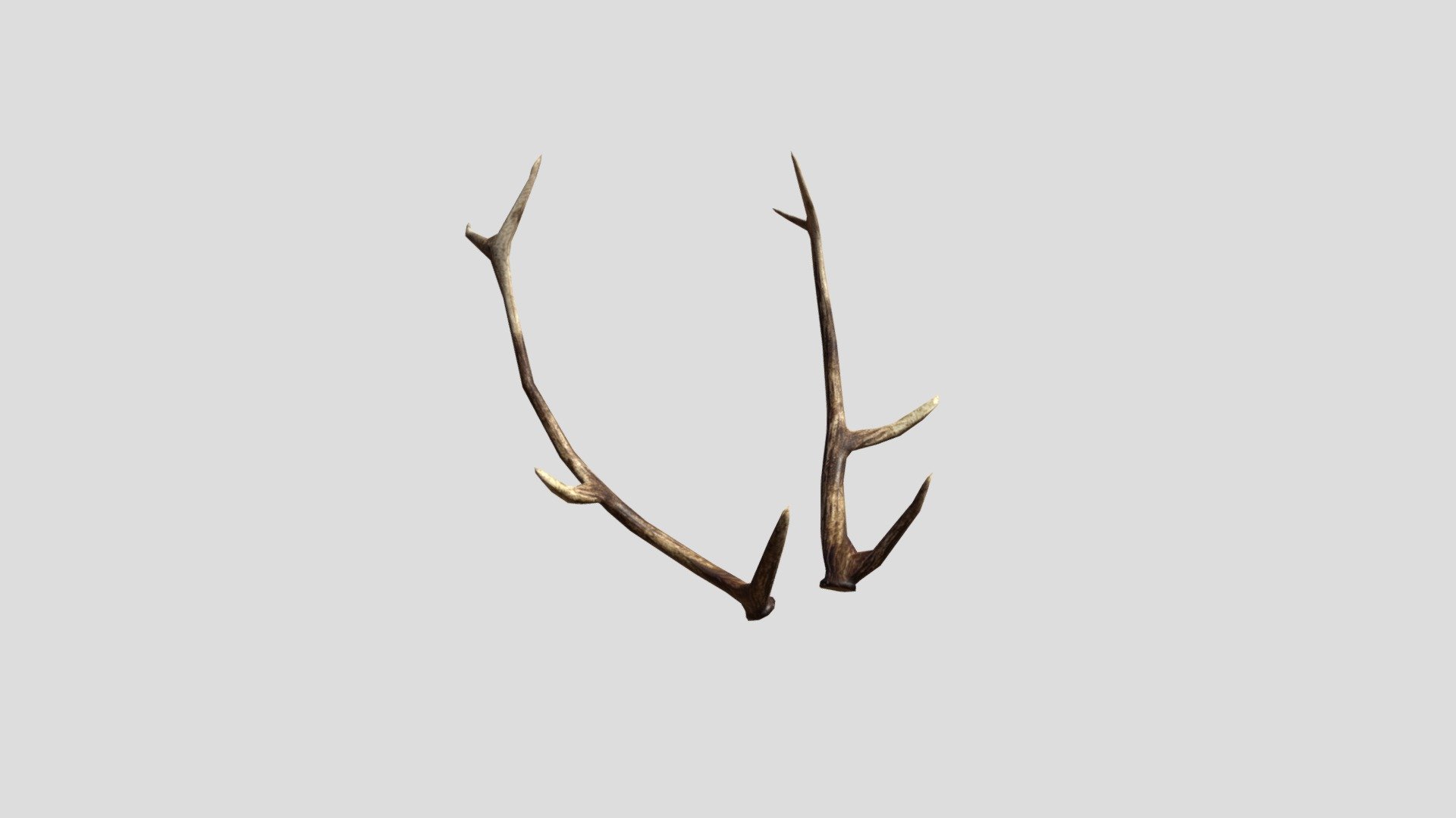 Antlers - Buy Royalty Free 3D model by kambur [22e8ab3] - Sketchfab Store