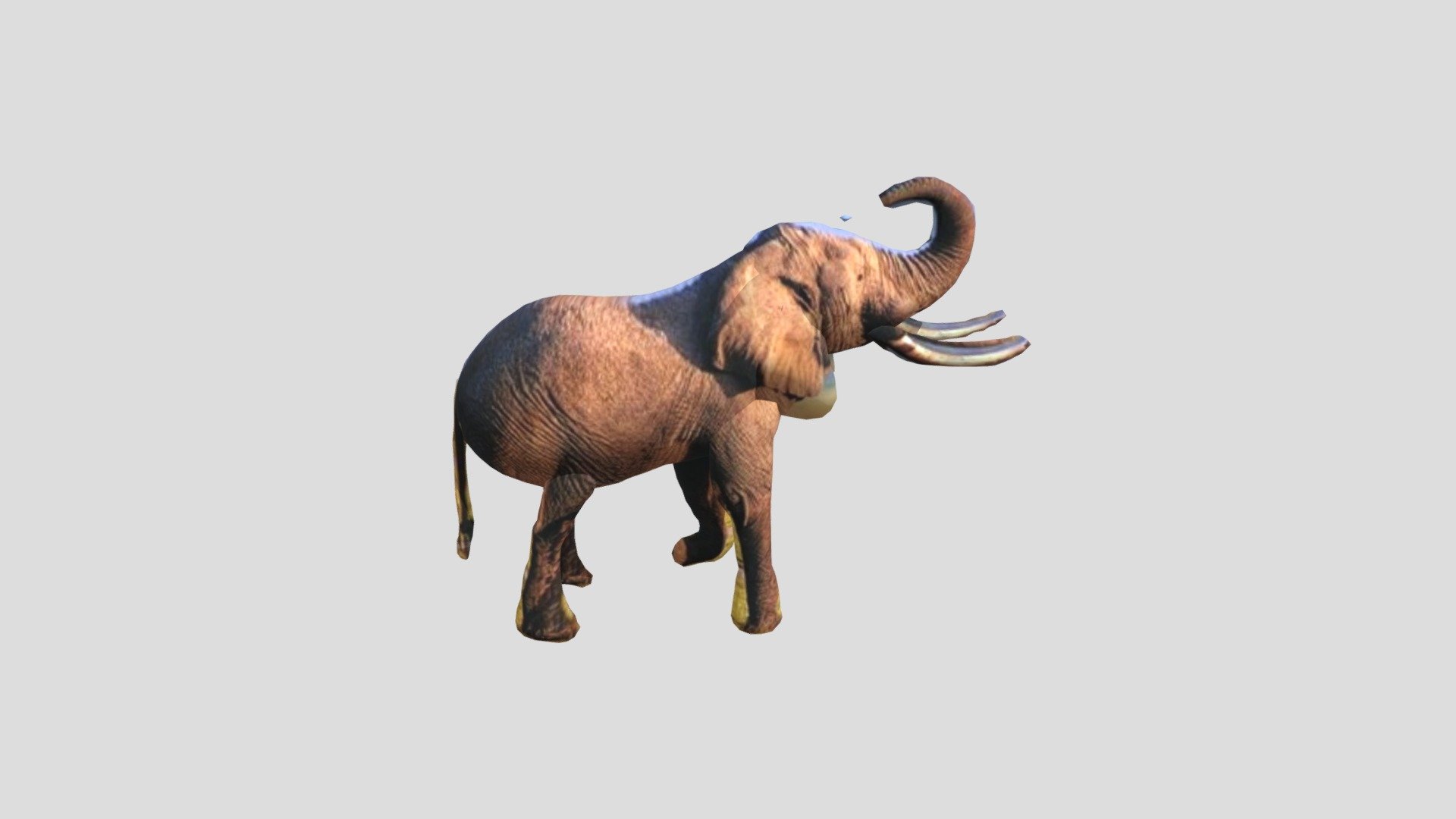 Elephant - 3D model by Dong_Rae [22ed1e7] - Sketchfab