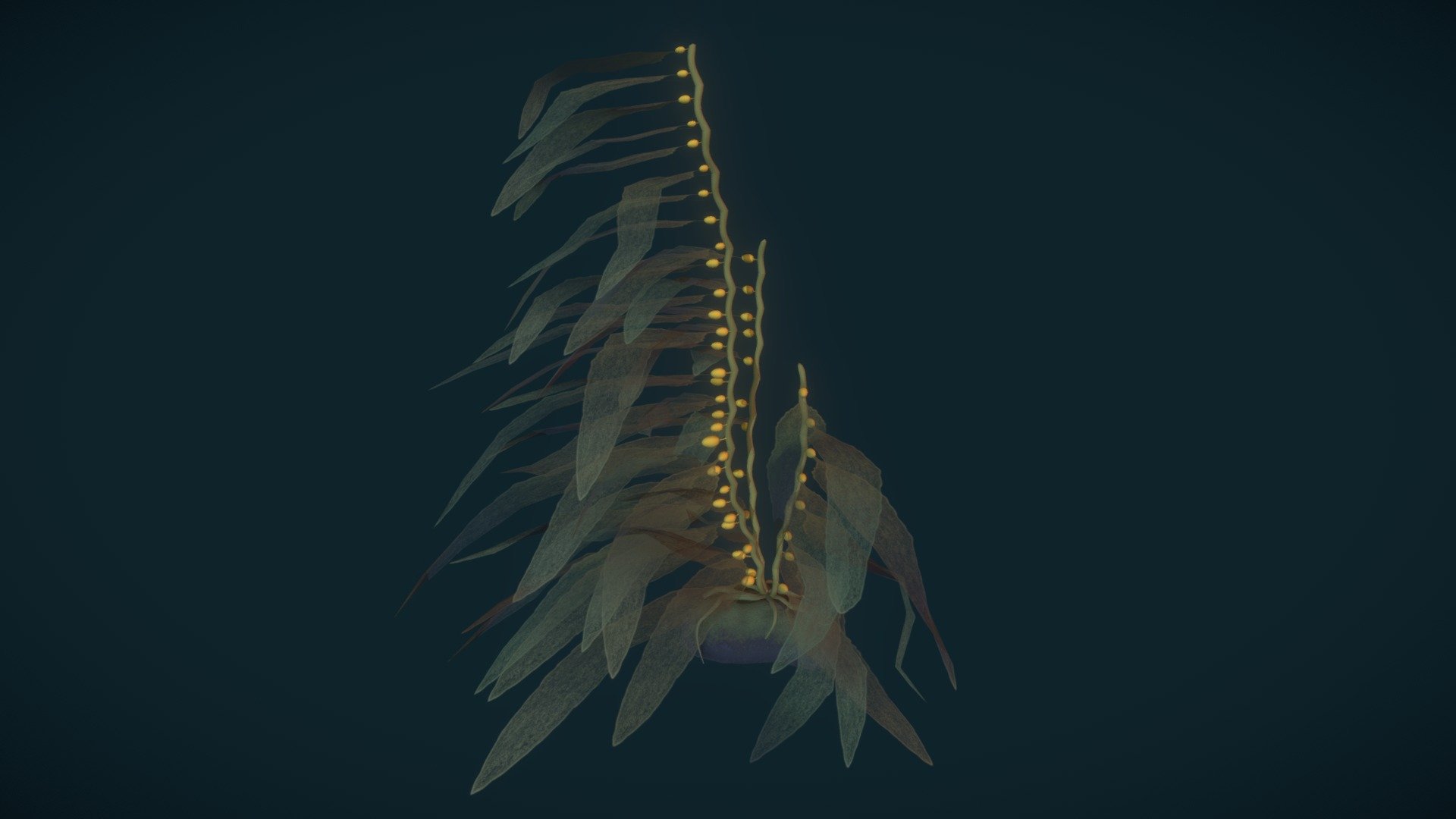 Kelp with animation - Download Free 3D model by cswindley [22f71d8 ...
