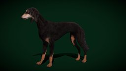 Quadruped animation final - Download Free 3D model by Landen_S [245ac53 ...