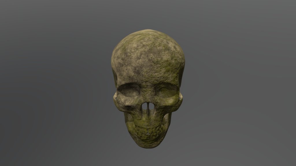 Moss Covered Skull - High Polygon - 3D model by sambrimlow [2314fd0 ...