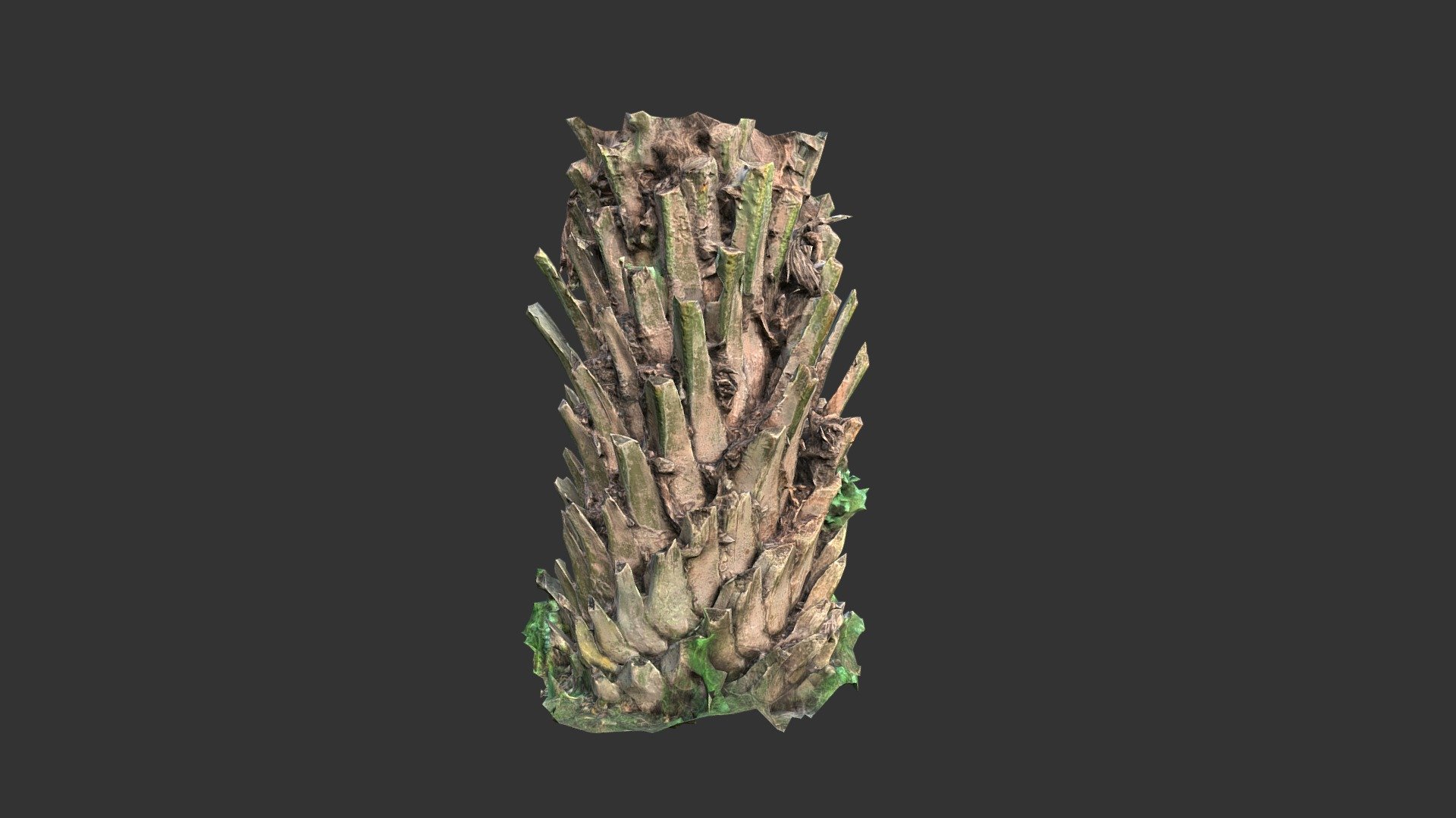 Oil palm 02 Photogrammetry - Buy Royalty Free 3D model by Mega 3D ...