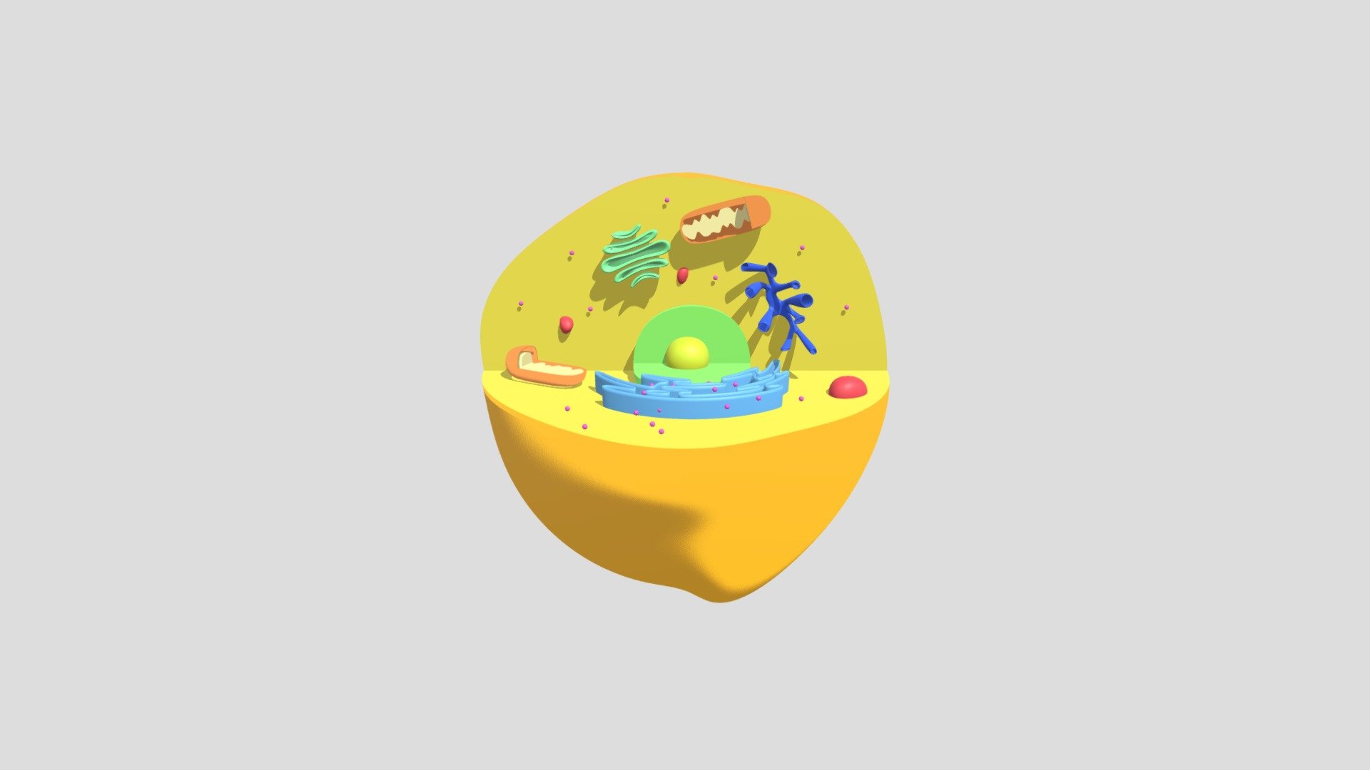 cell - Download Free 3D model by angharibian [231dee8] - Sketchfab