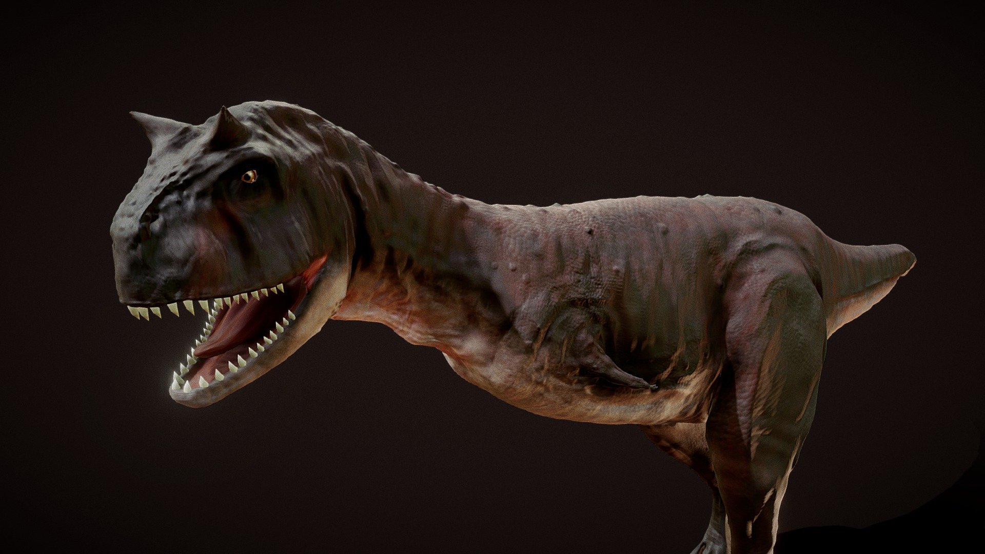 Rigid Carnotaurus-Sastrei - Download Free 3D model by Wormhole ...