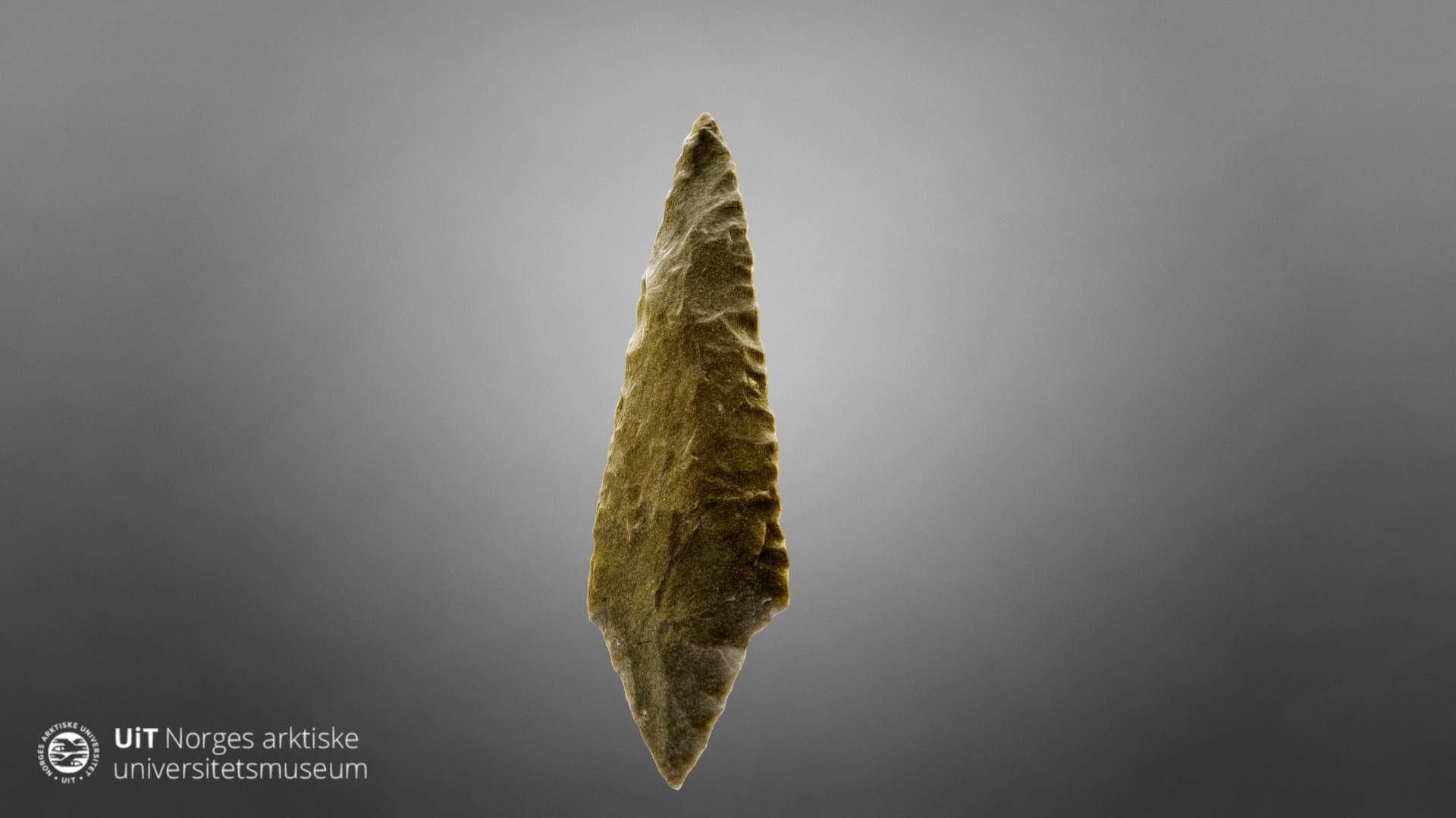 Arrowhead (TS14313.795) - 3D model by UiT - The Arctic University ...