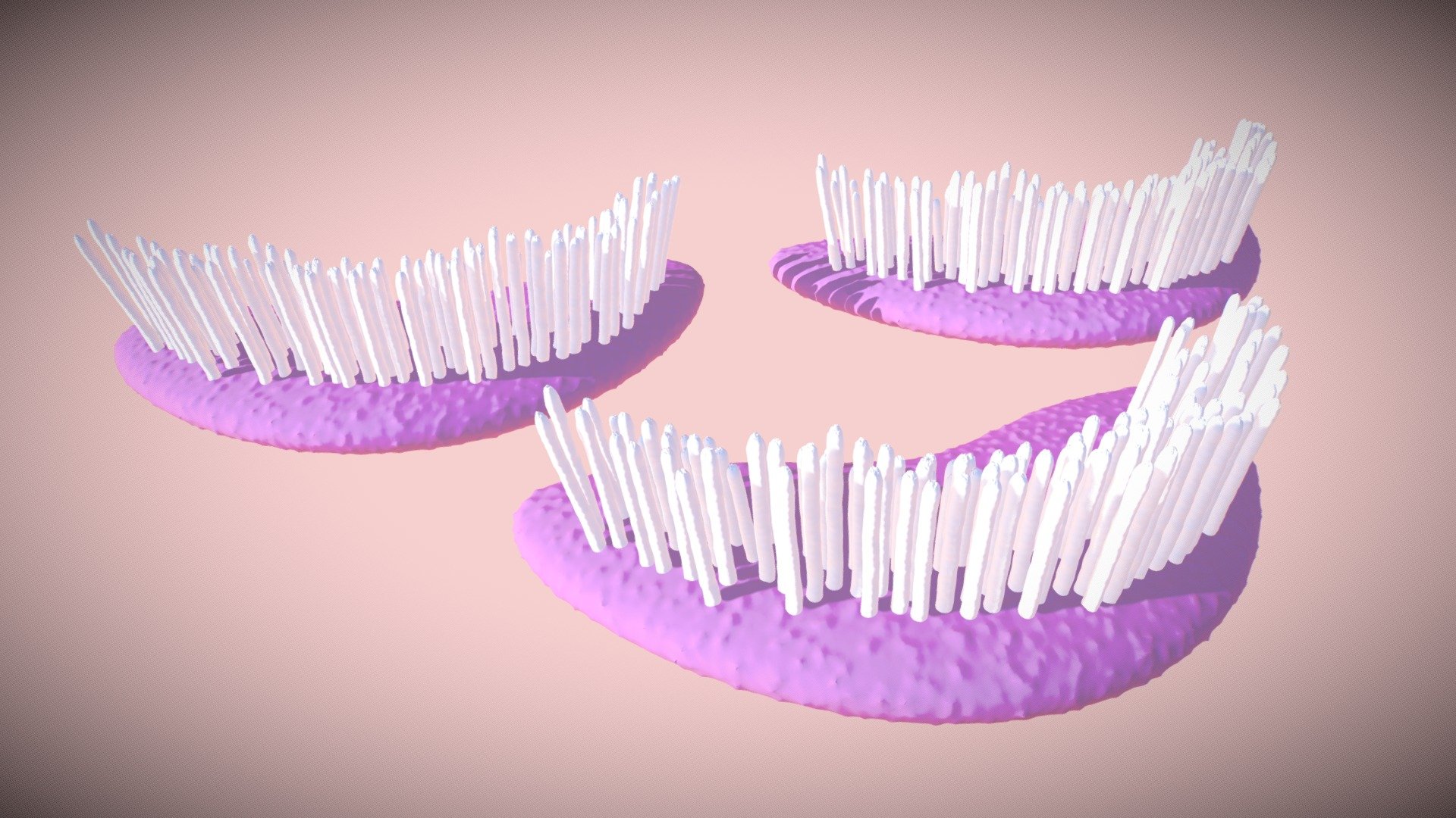 Cochlear Ear Cilia - 3D model by PARSONSARTS (@tomparsons) [2331075 ...