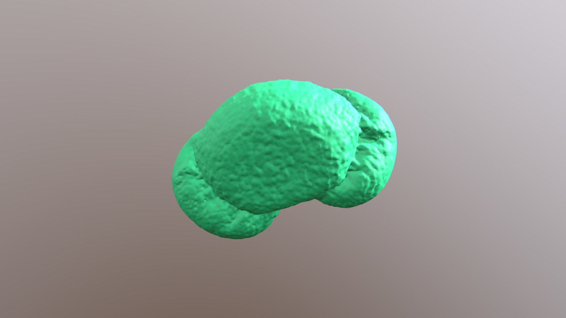 Pine pollen - 3D model by 3D Pollen Project (@3dpollenproject) [2334fa5 ...