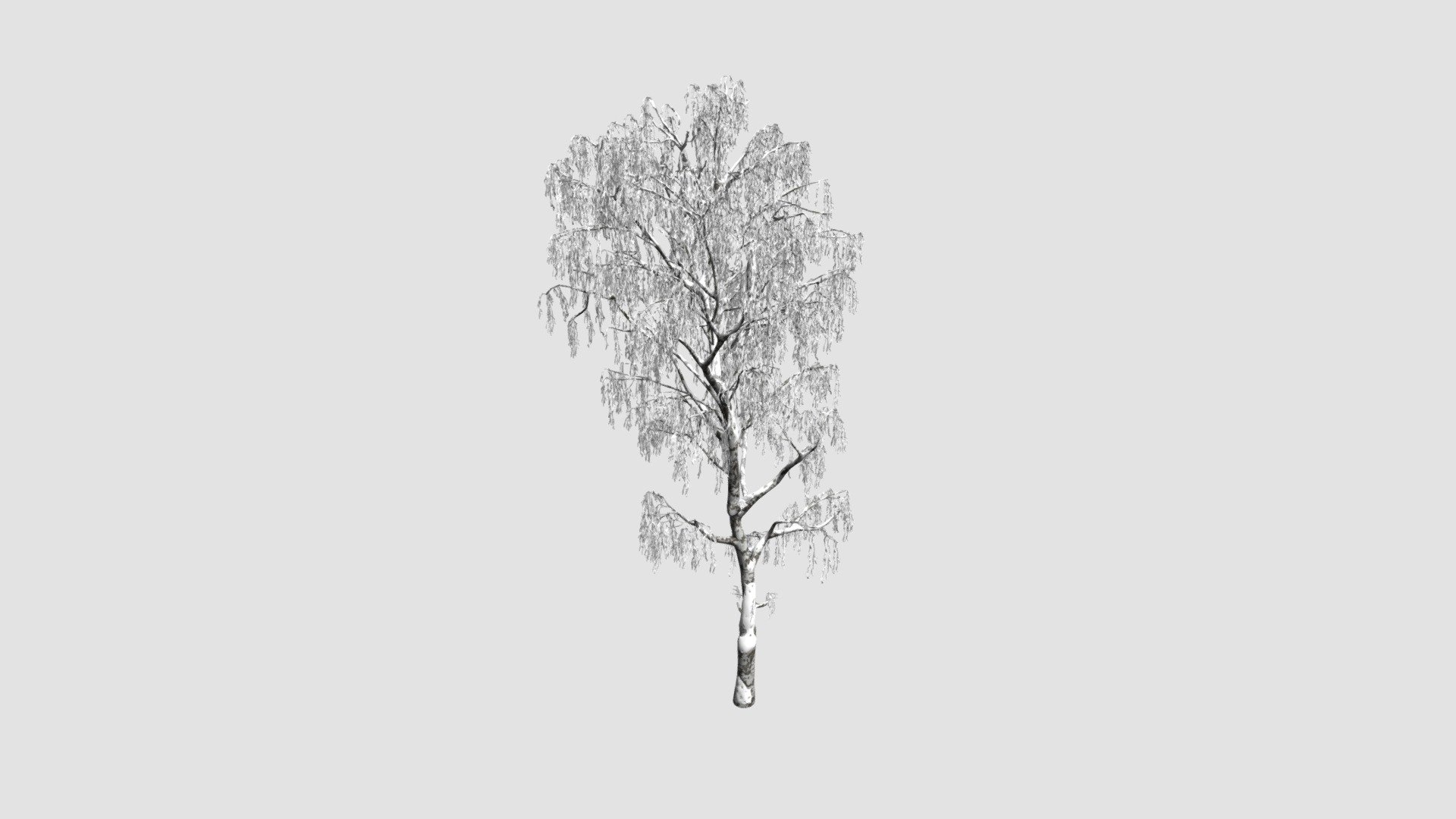birch tree - Buy Royalty Free 3D model by Evermotion [23370f5 ...