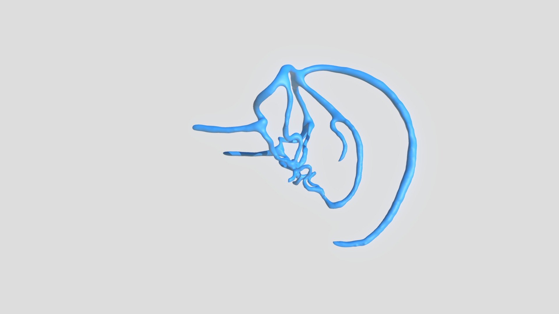Cerebral Venous System - 3D model by jamiecronin [233839f] - Sketchfab