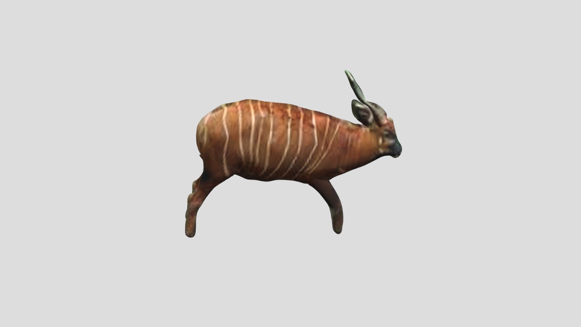 Bongo run - Download Free 3D model by Zazuyoshi [233ceb6] - Sketchfab