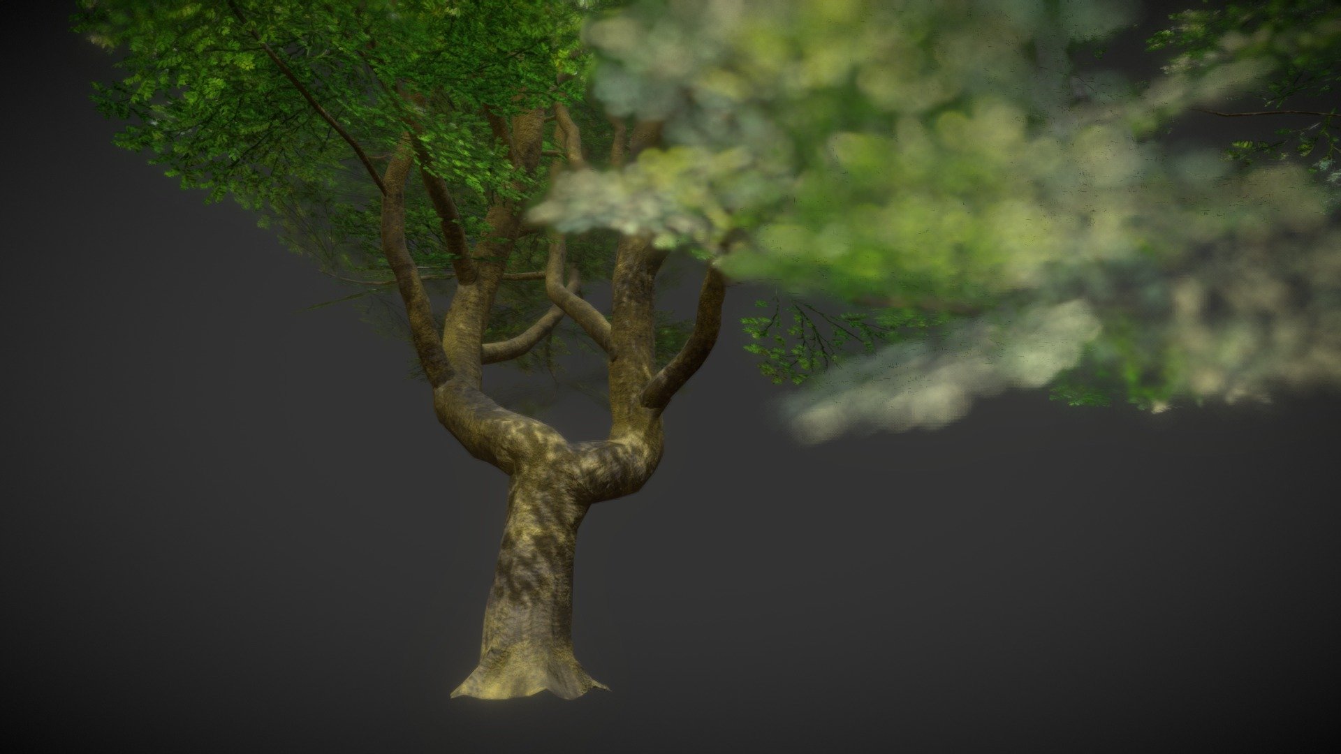 Forest Tree - 3D model by austin.madison10152 [23415ad] - Sketchfab