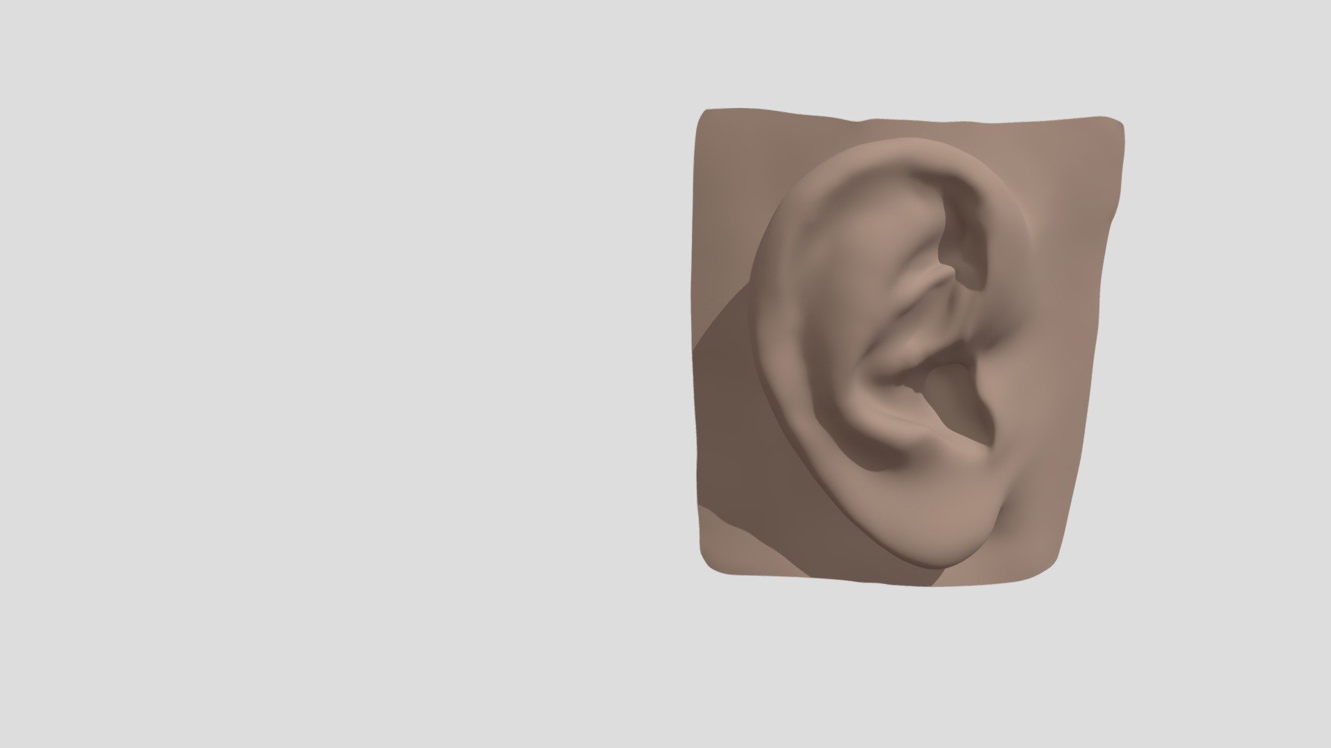Human Ear - 3D model by uncle.sim [234cc48] - Sketchfab