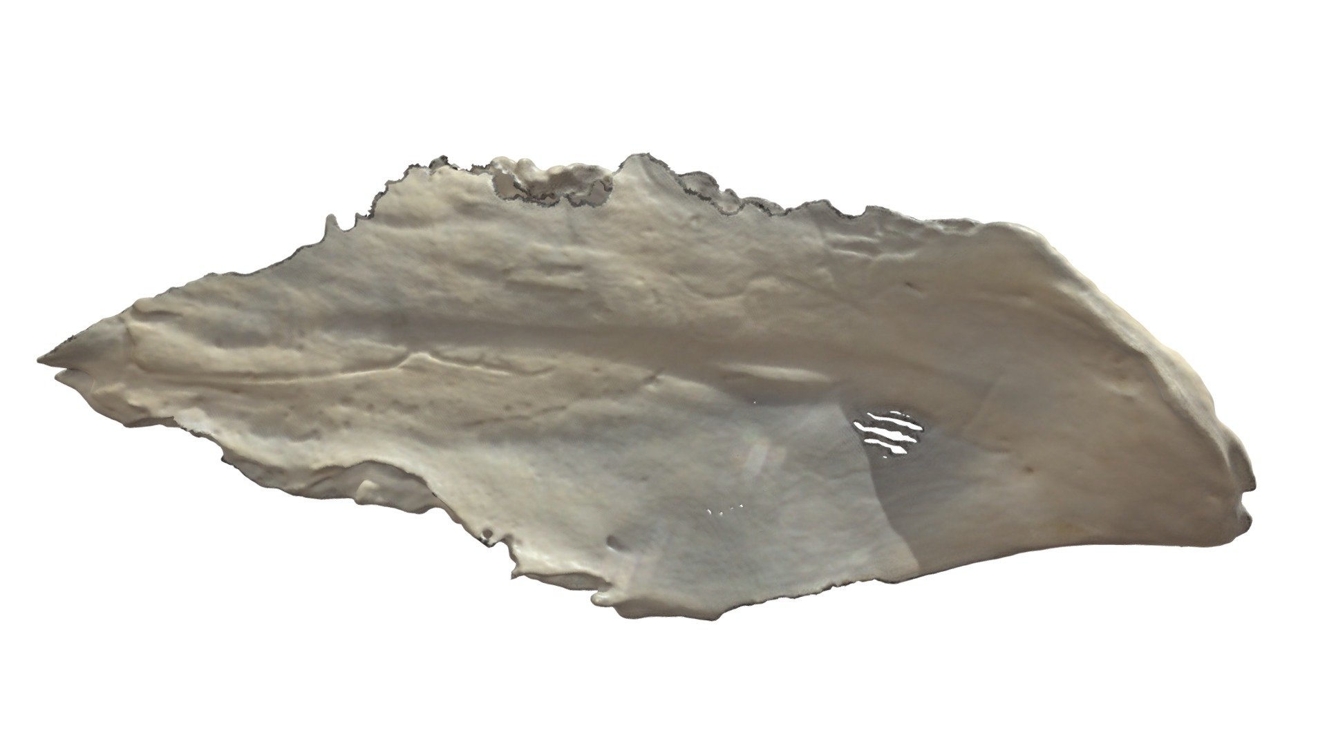 Os Vomer - 3D model by Universiteit Antwerpen (@marjanmaldoy) [234f95f ...