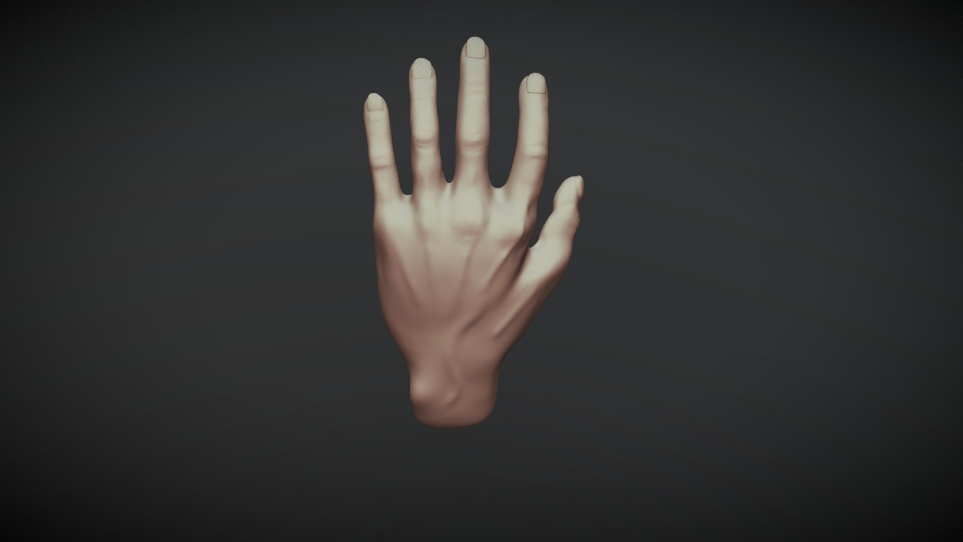 Realistic human hand model - 3D model by nadevaynoski [2350312] - Sketchfab