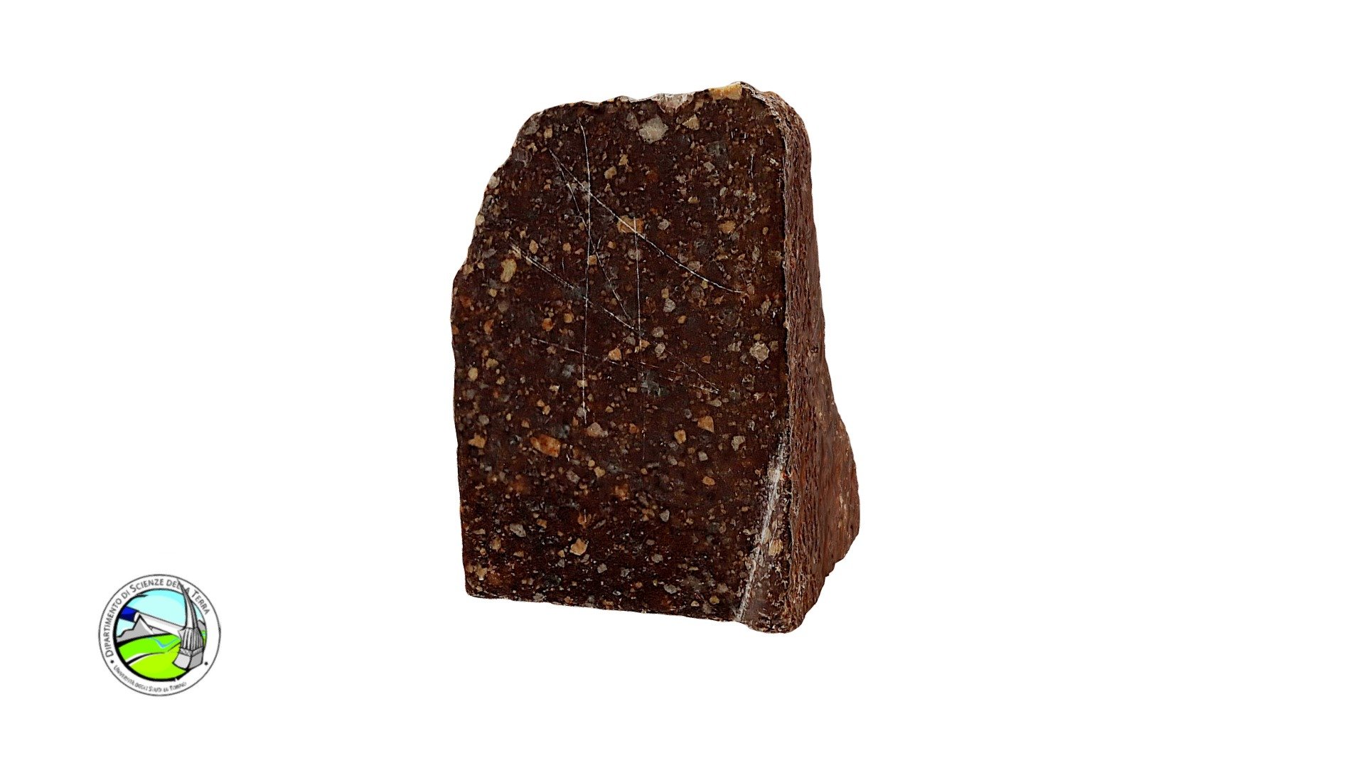 SN8 - Feno-riolite - 3D model by Dipartimento di Scienze della Terra ...