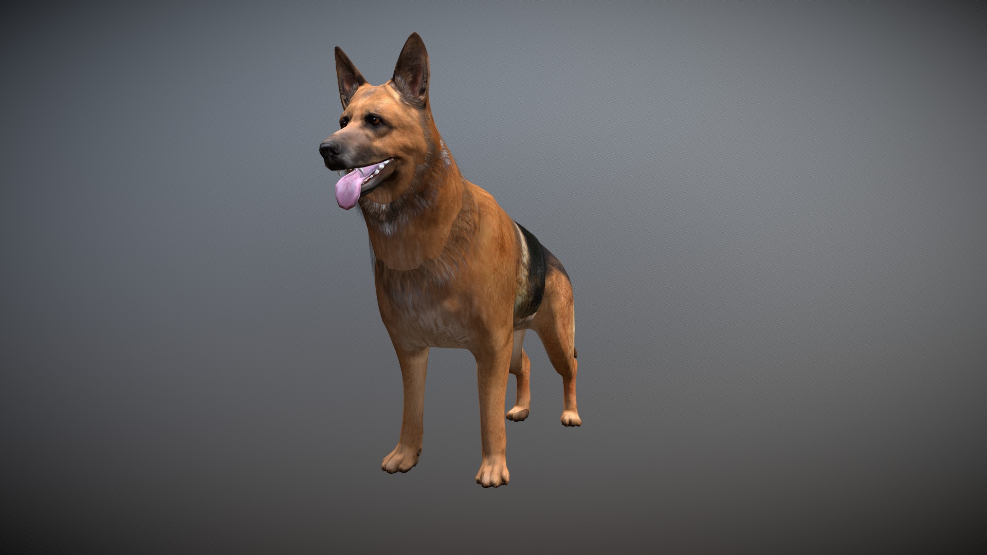 Dog - 3D model by starkstefen [235ea94] - Sketchfab