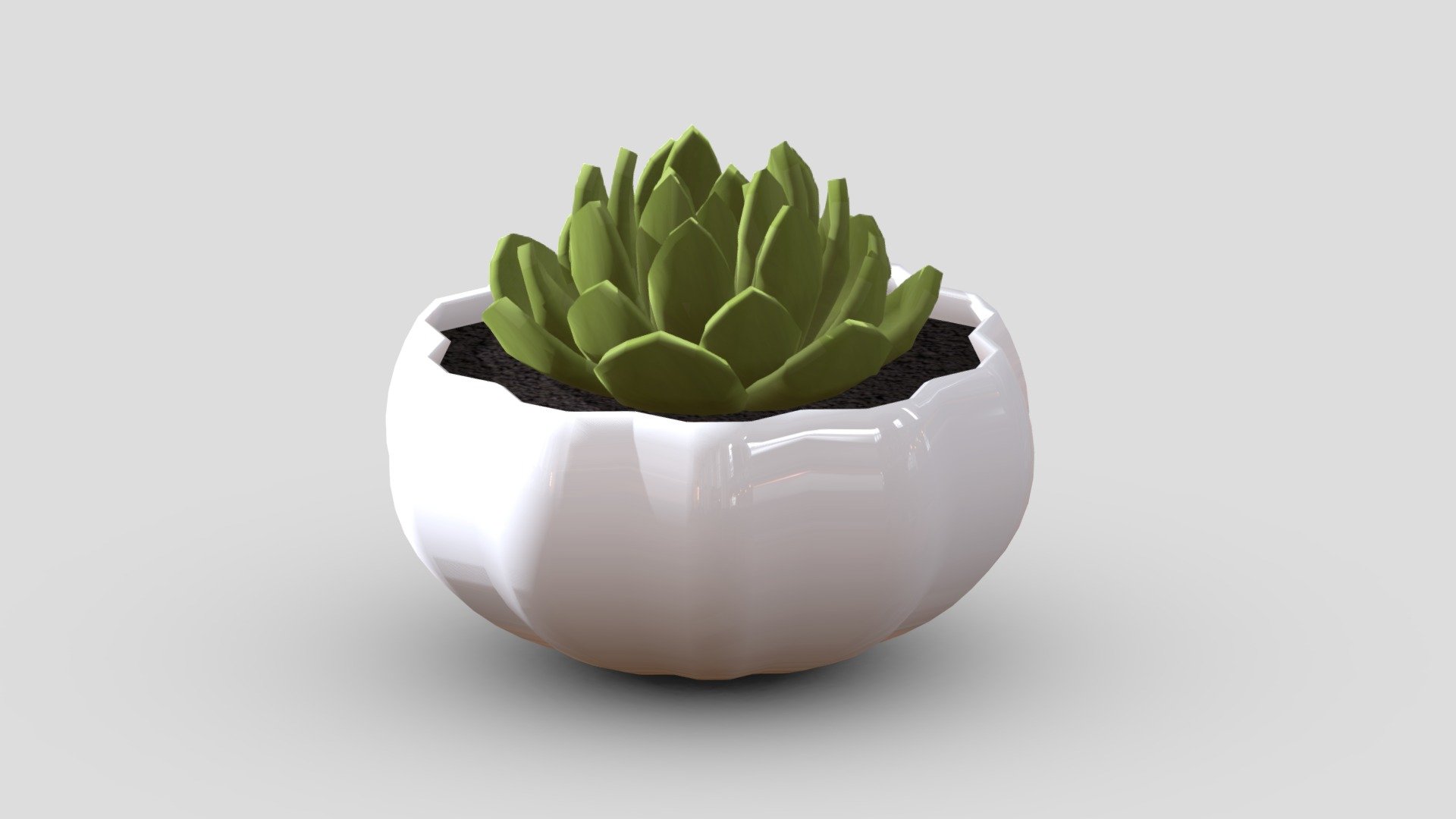 Succulent - 3D model by CCreighton [2362355] - Sketchfab