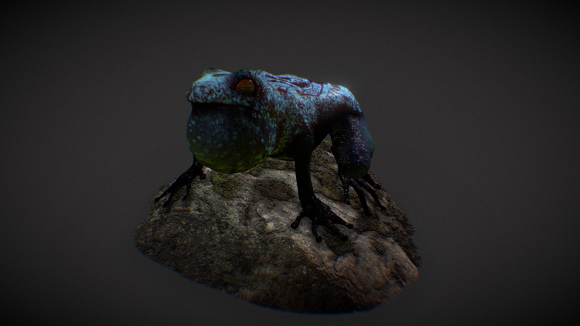 Frog study on a rock scan - 3D model by The Vaudeville Horror Show ...