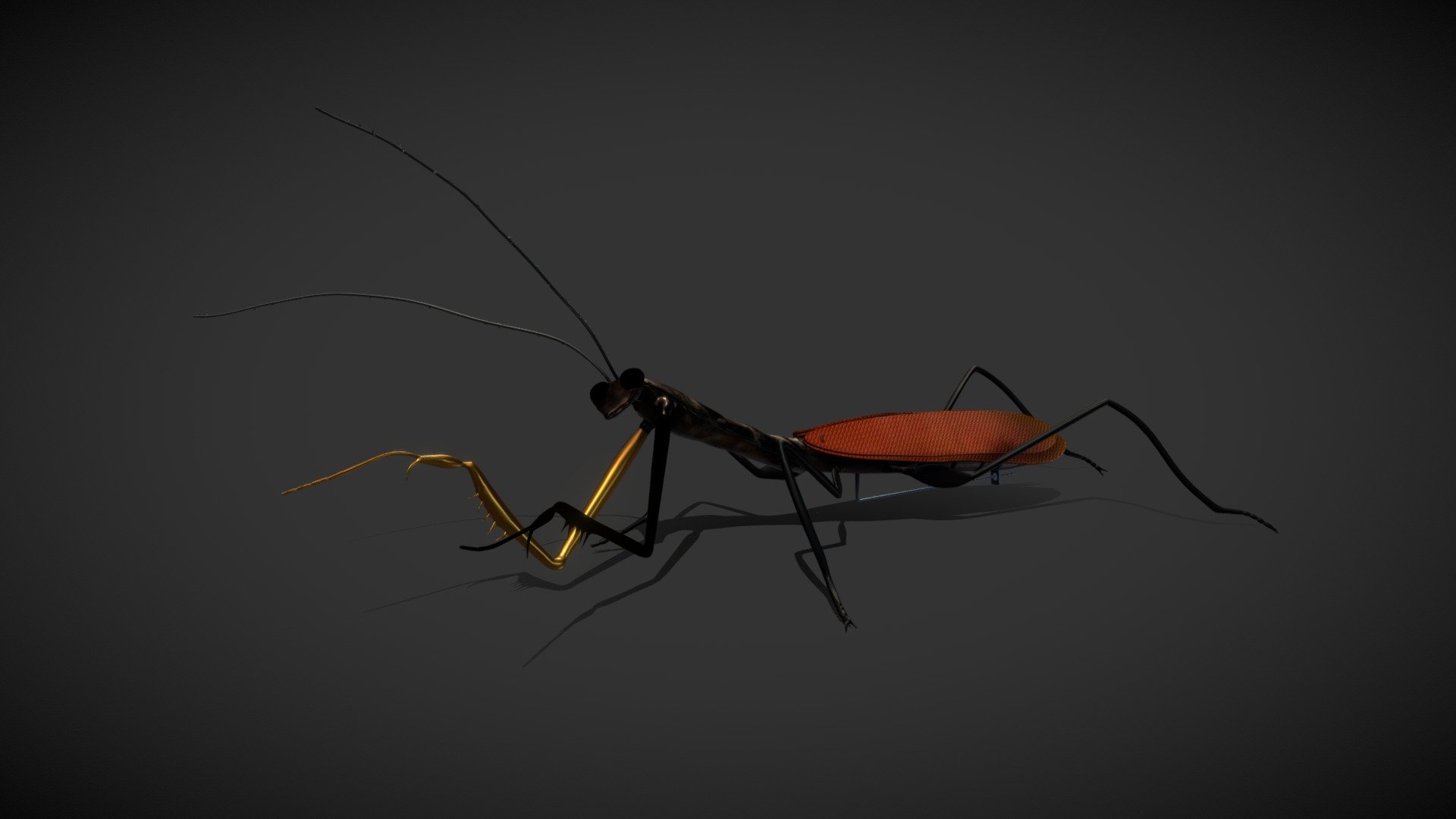 Gold Museum / Permanent Exhibition｜Mantodea - 3D model by FungsDesign ...