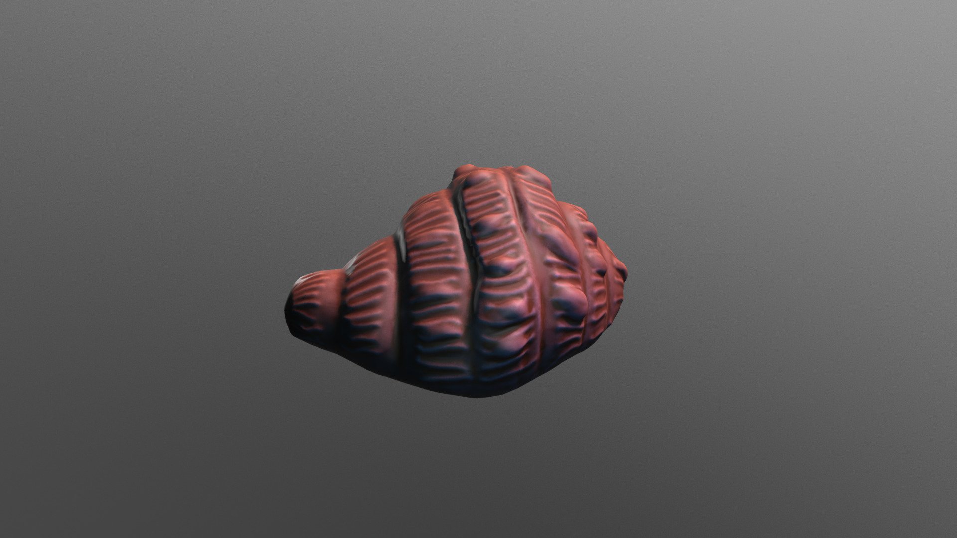 day 25 Shell sculptJanuary 2018 - 3D model by Stefano Di Filippo ...