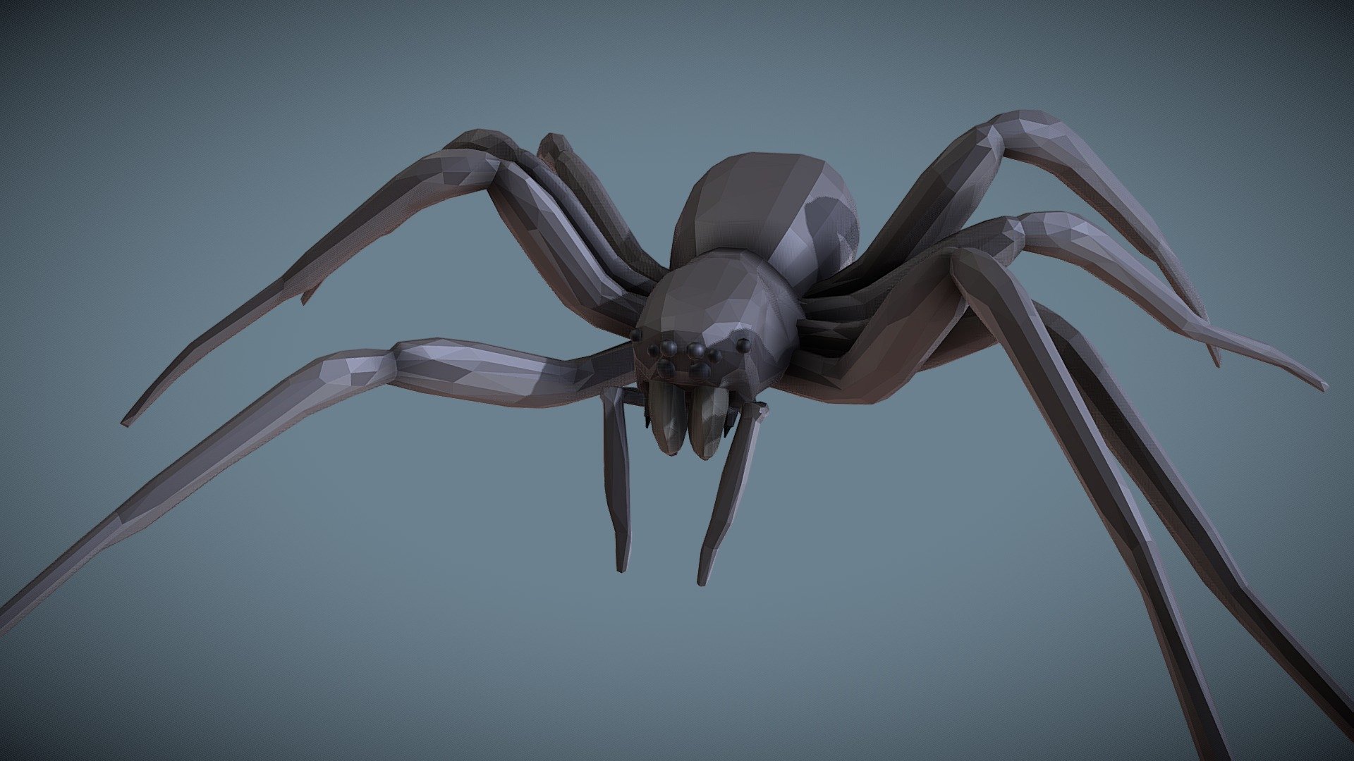 spider animation - 3D model by poombanana25 [2377412] - Sketchfab